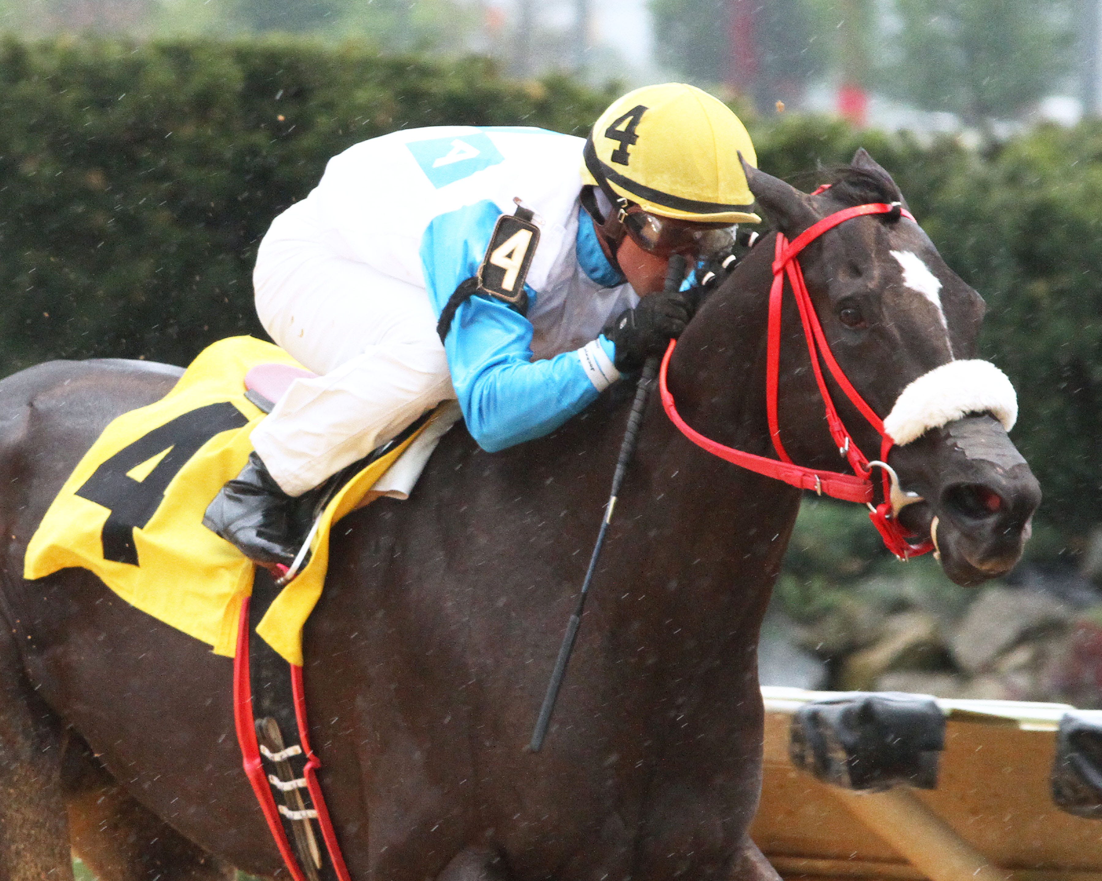Mia Torri goes wire to wire in winning Sugar Maple