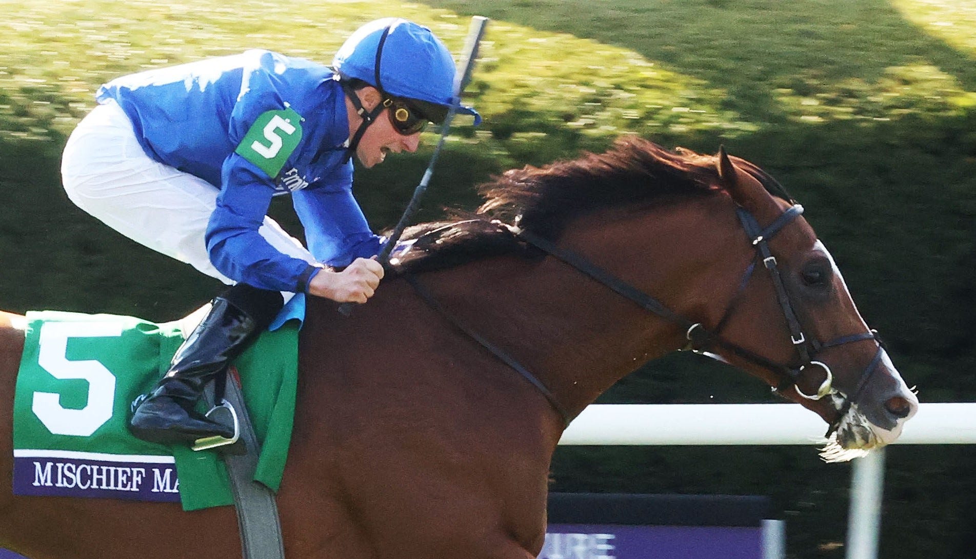 Breeders' Cup 2023 - News, Results And Entries | Daily Racing Form