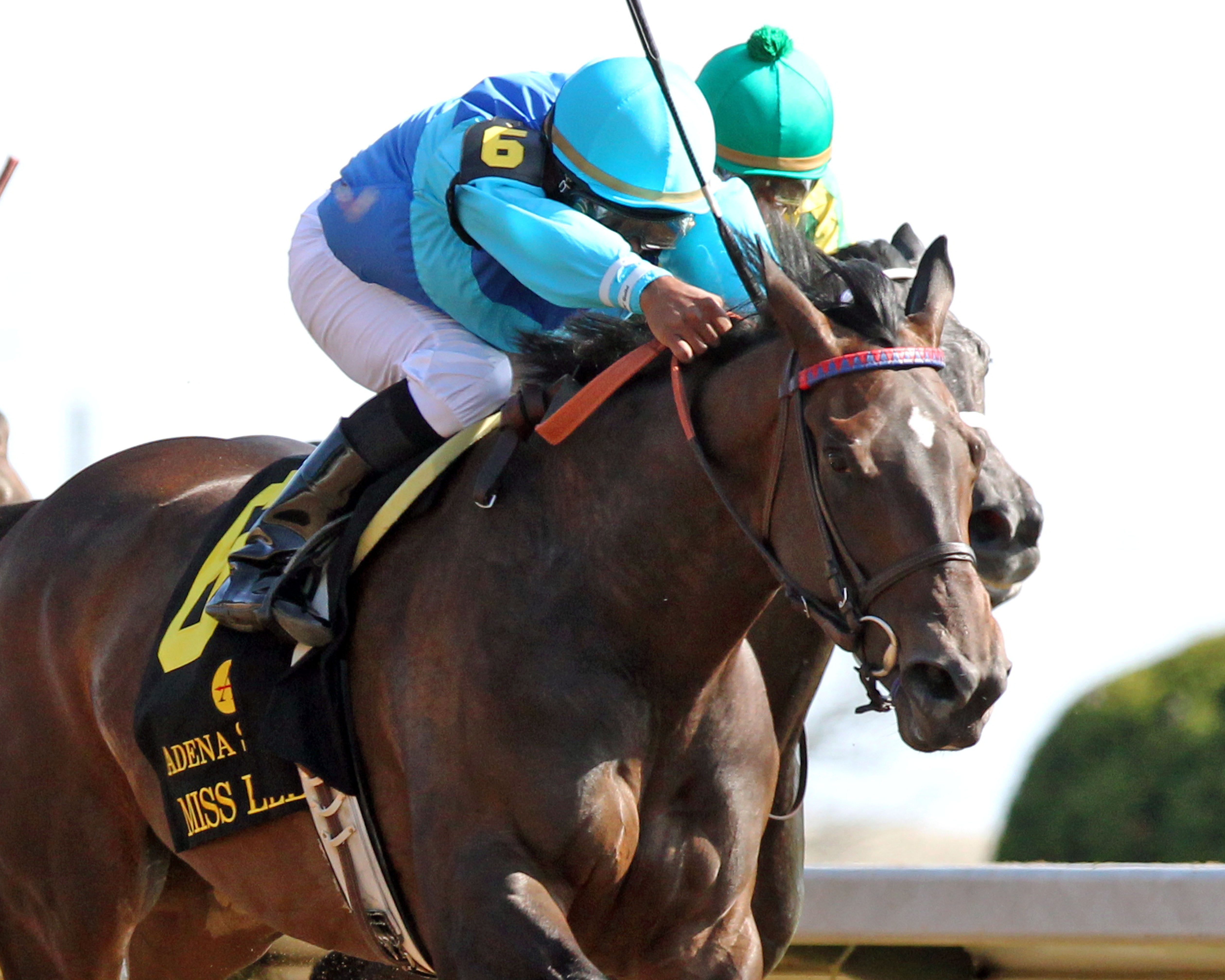 Miss Ella looks to stay perfect in Miss Preakness