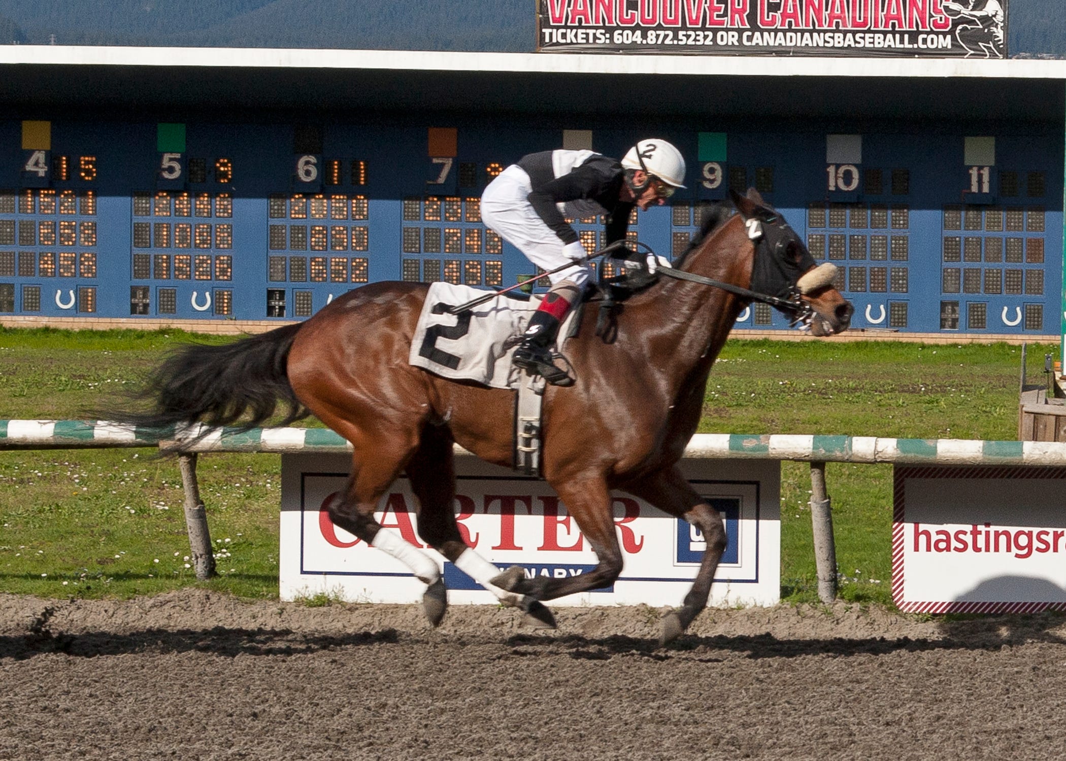 Modern steals Swift Thoroughbreds Inaugural with soft early fractions