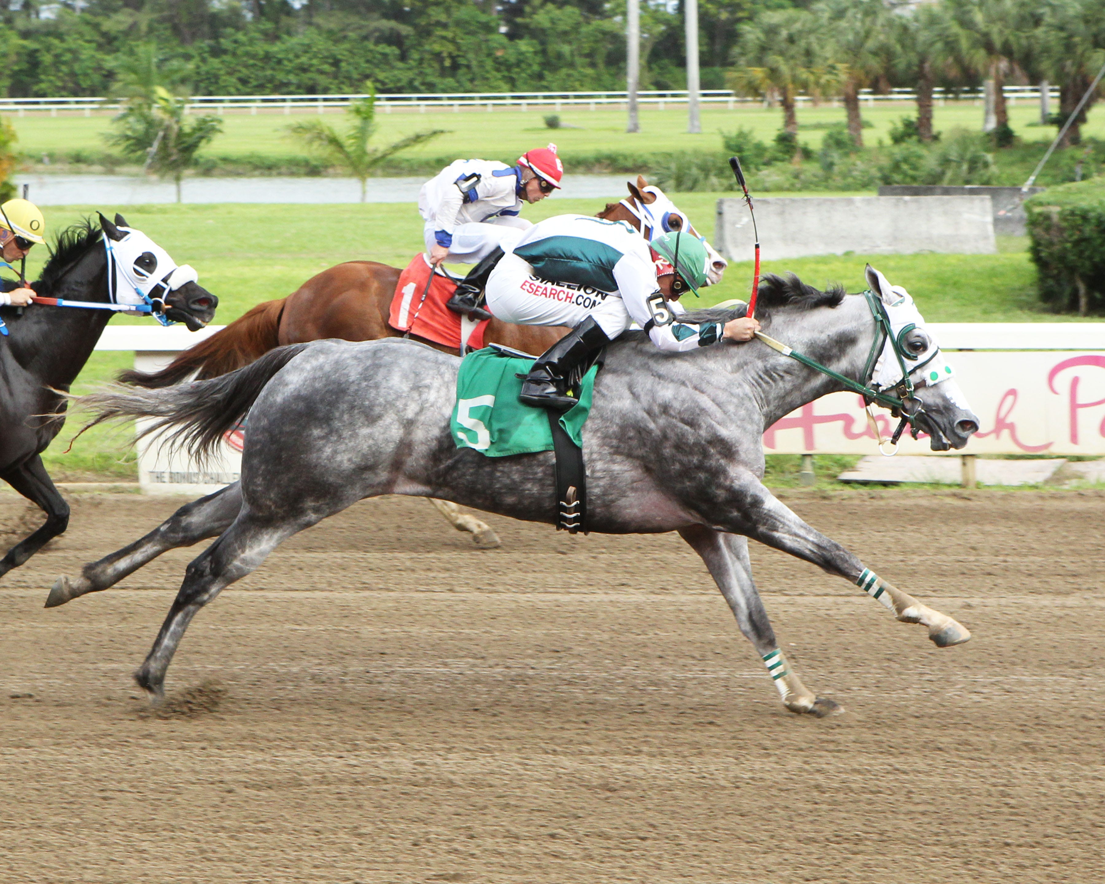 Moonin the Eagle tops qualifiers for Hialeah Maturity