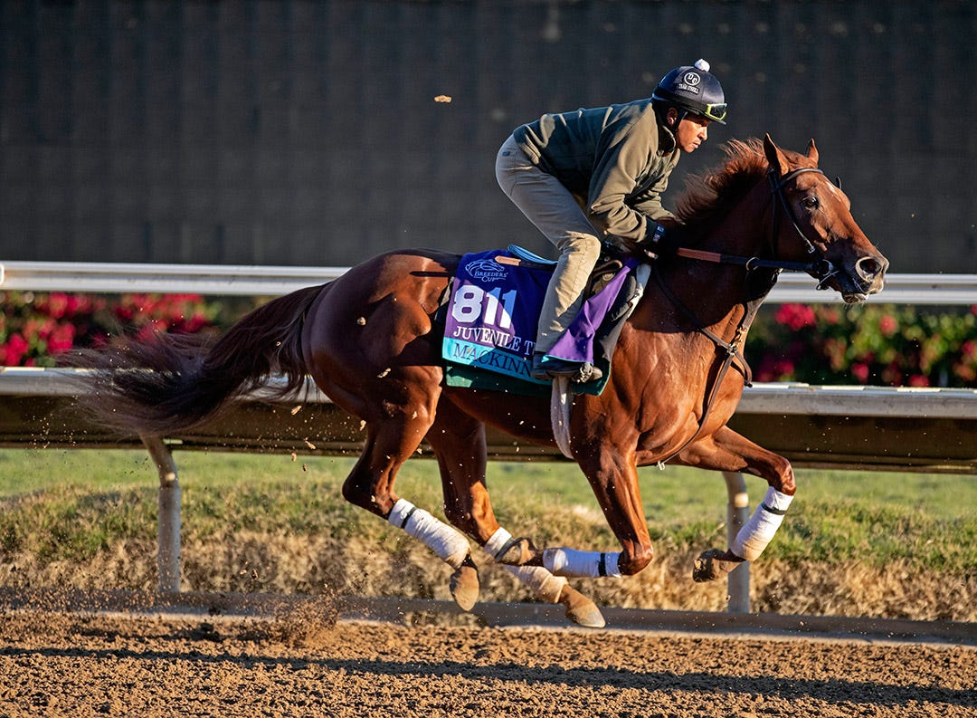 Mackinnon transferred to Chad Brown's stable