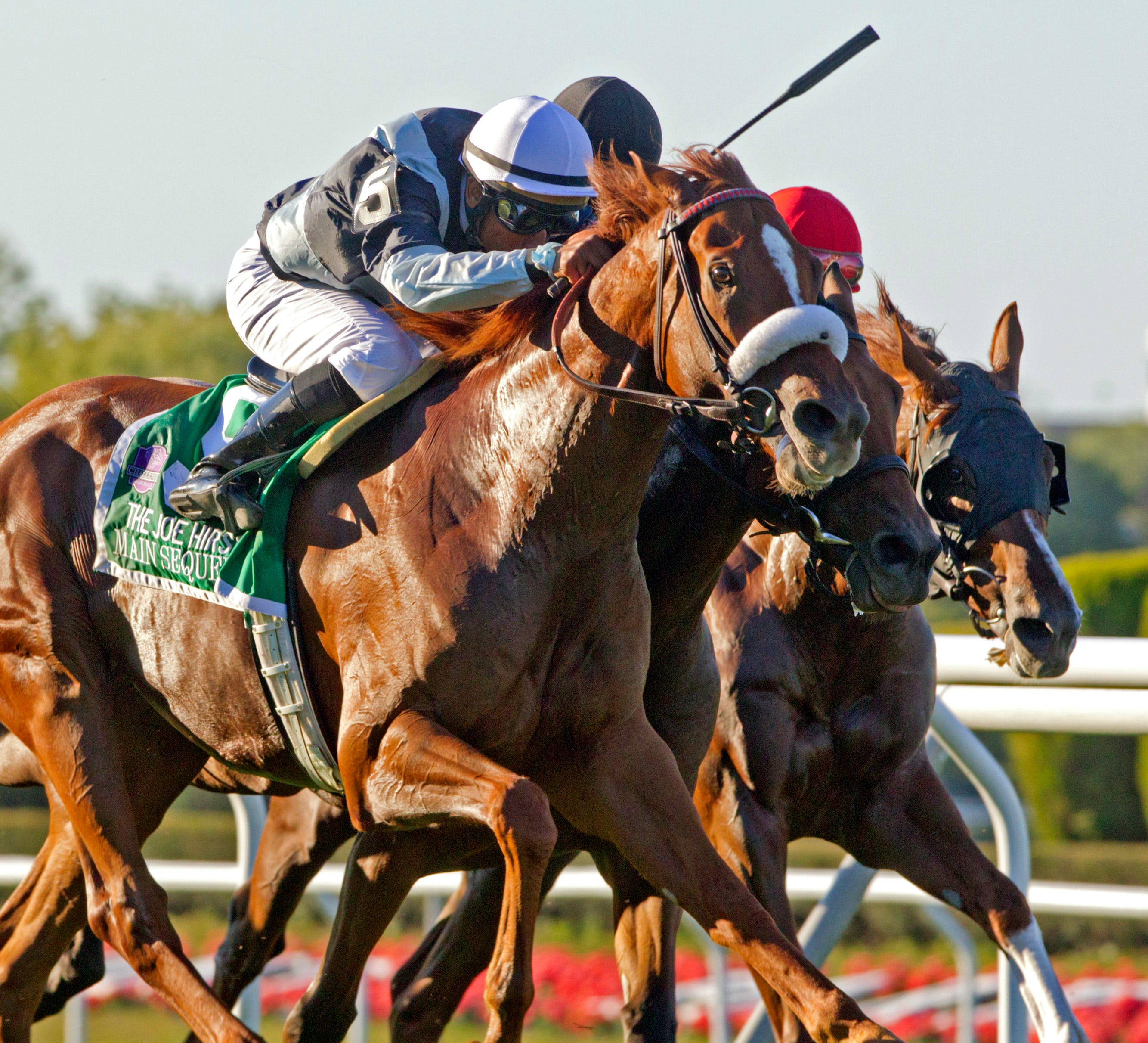 Motion: Main Sequence retaining his form