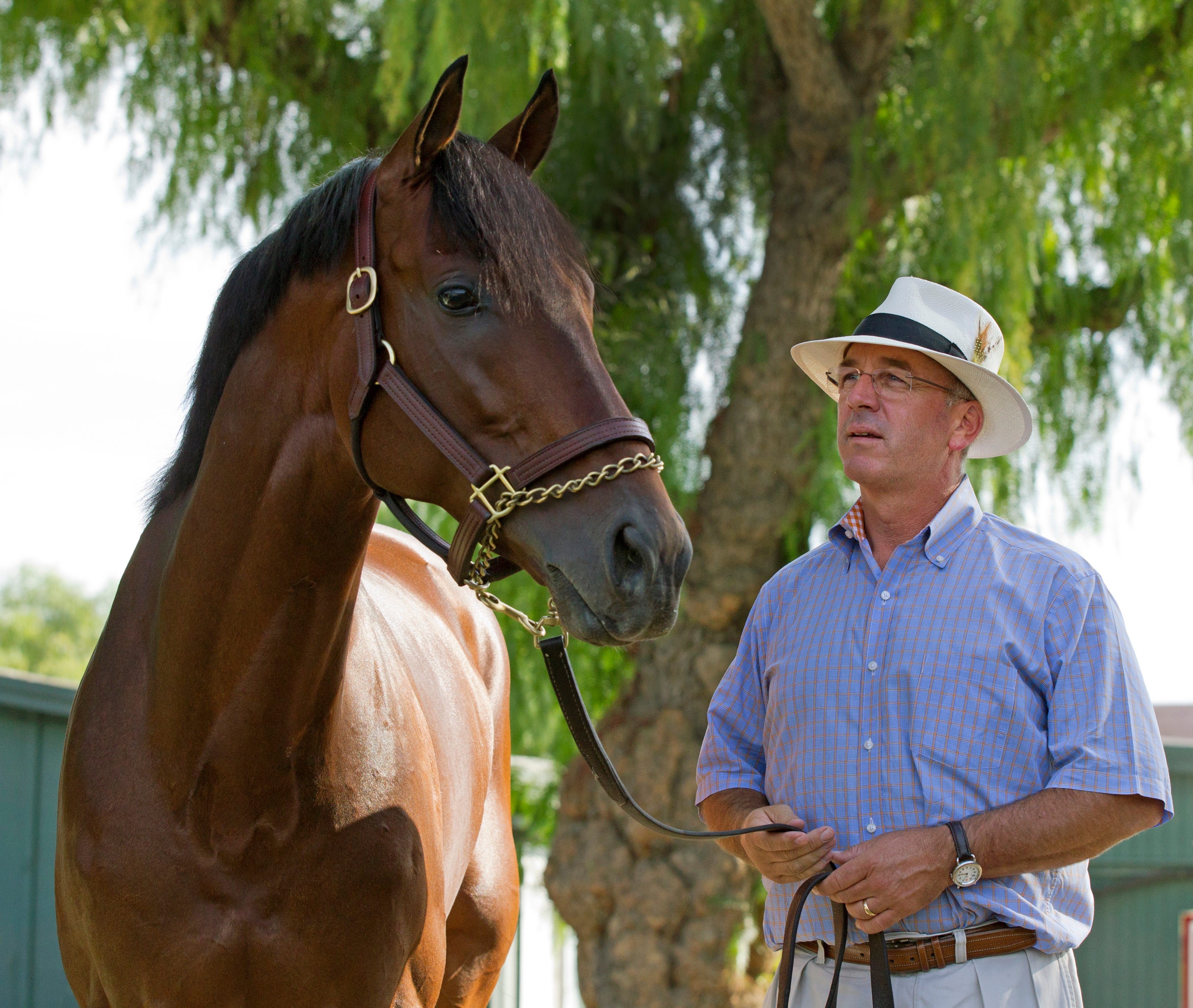 Sean McCarthy reopens public stable