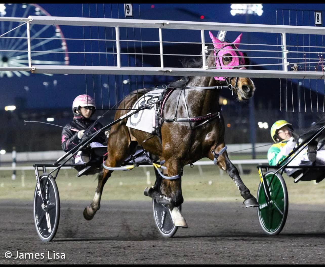 Harness: Majorly Sexy debut majorly rewarding