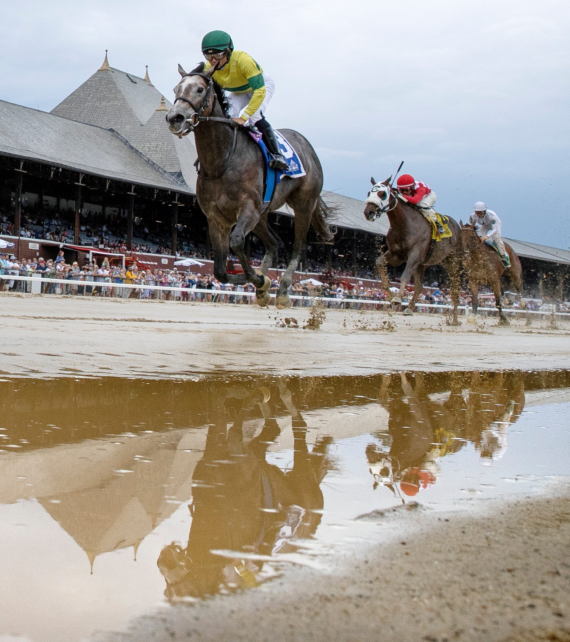 Maple Leaf Mel makes short work of Seeking the Ante Stakes