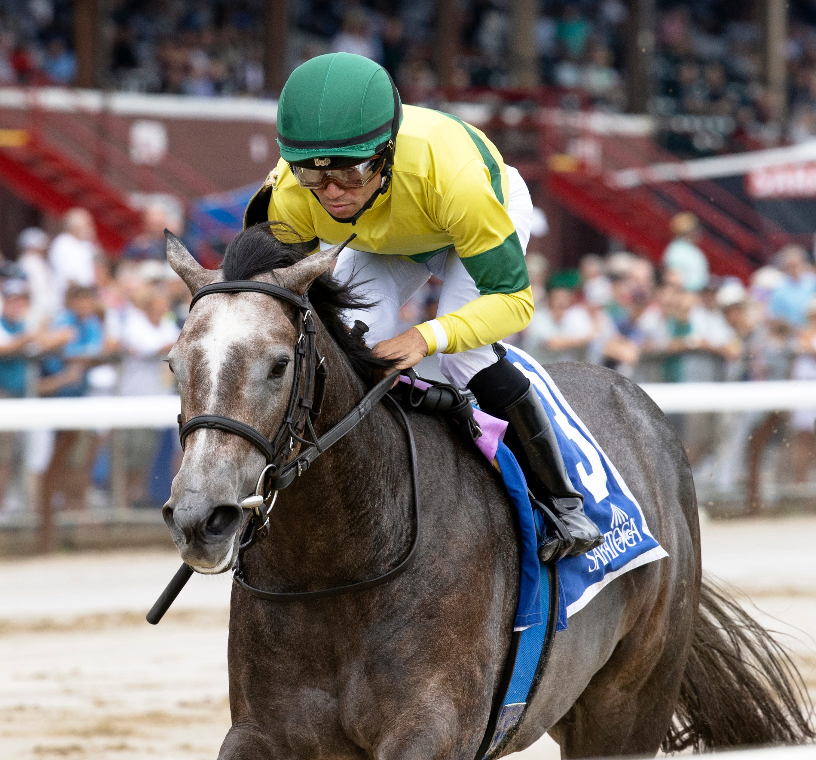 Seeking the Ante winner Maple Leaf Mel calls it a season