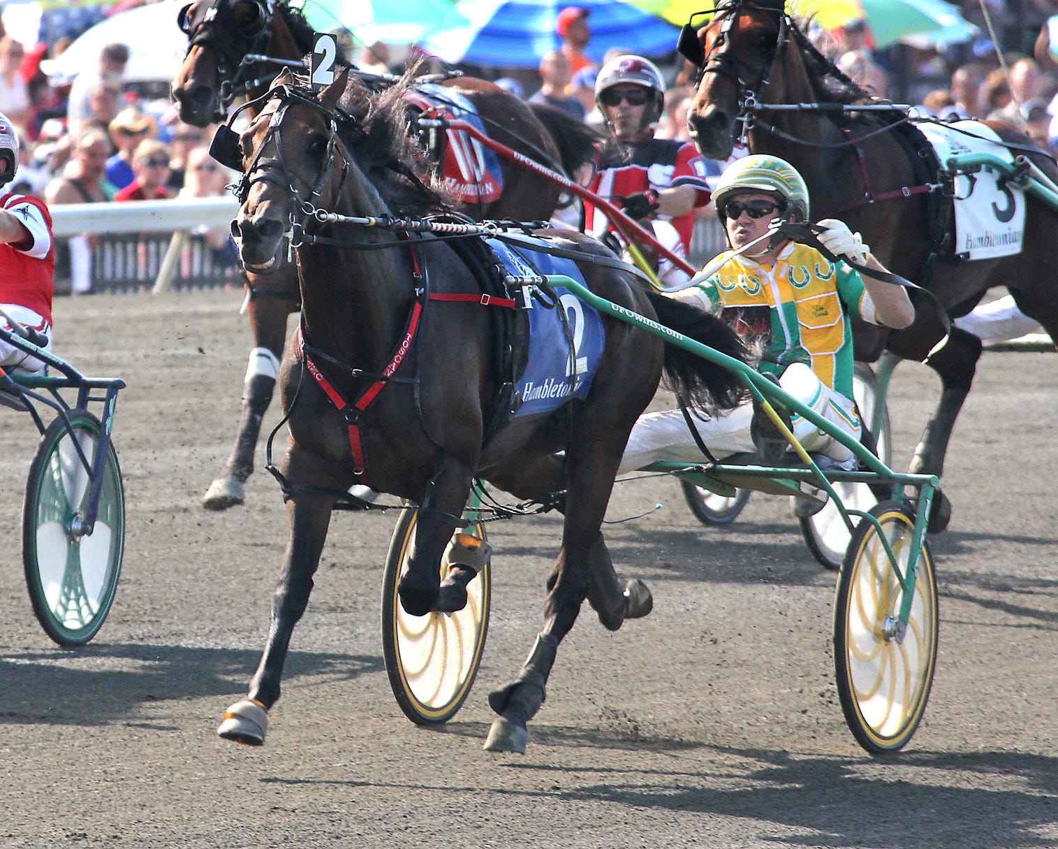 Harness racing: Market Share targets second $1 million win in Canadian ...