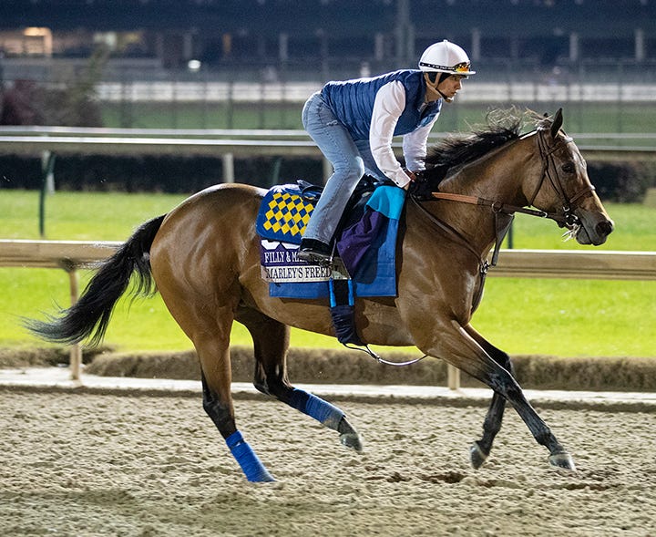 Breeders' Cup Filly and Mare Sprint: Marley's Freedom will try to run ...