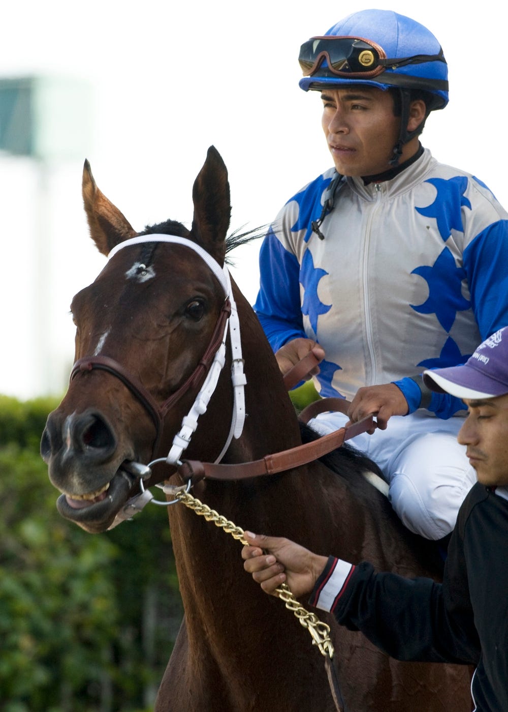 Super Equestrian Problems