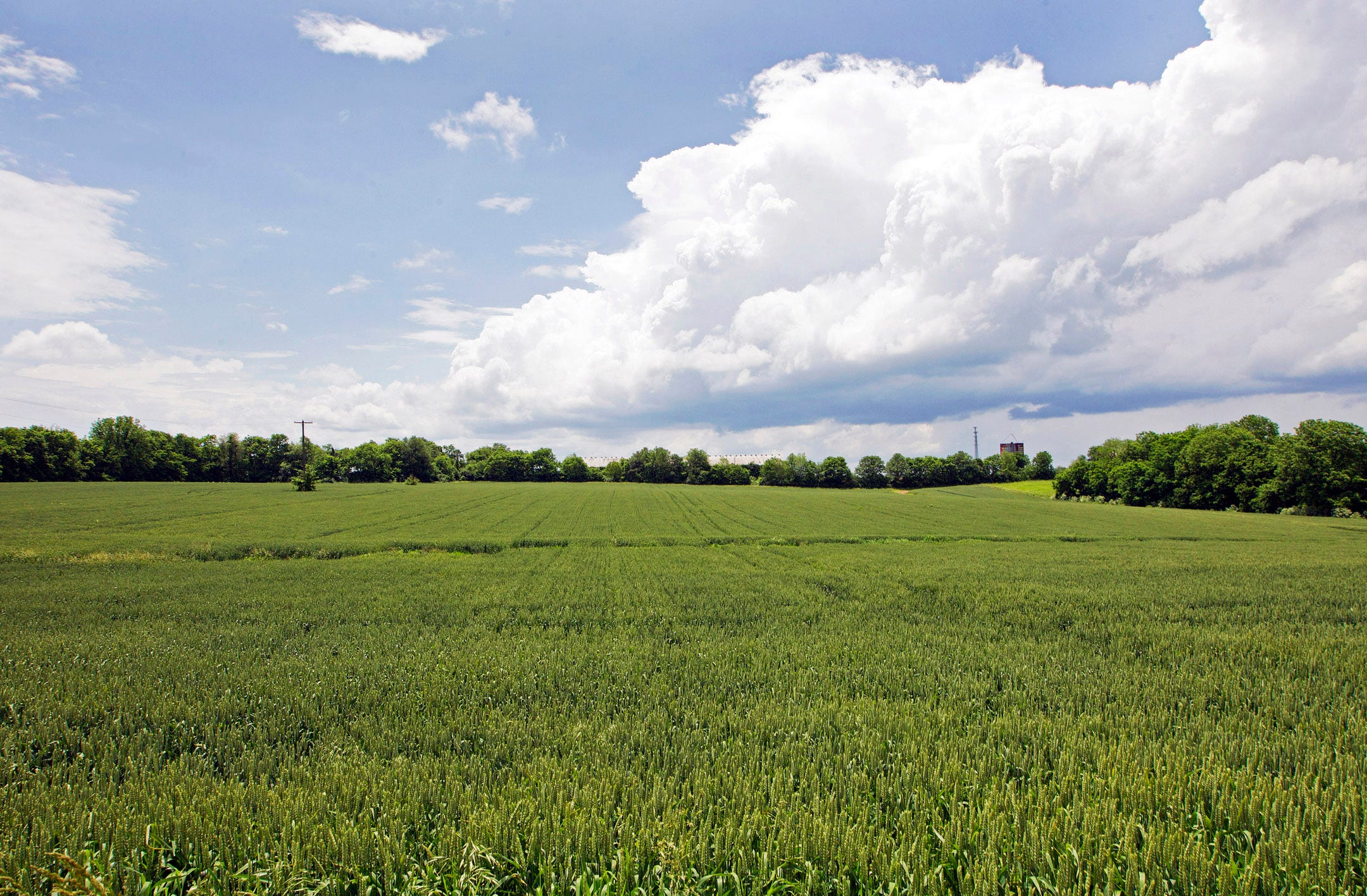 New Vocations breaks ground on new facility at Mereworth