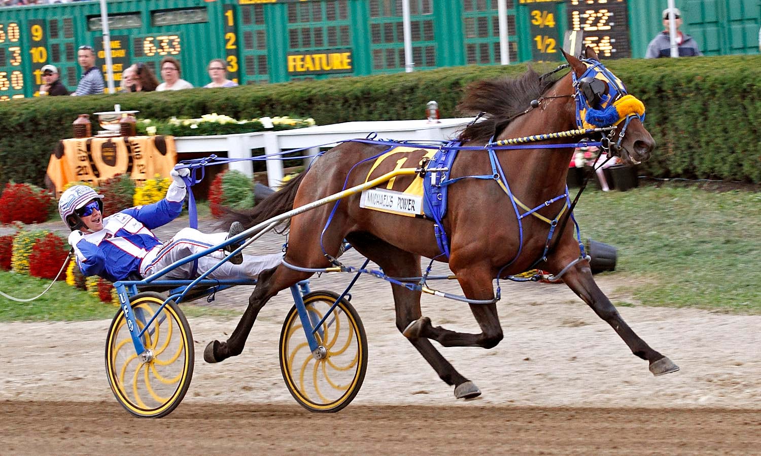 Bob Pandolfo: The importance of harness drivers