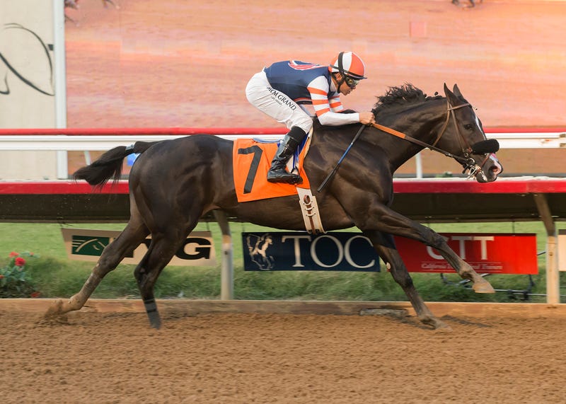 Midnight Storm faces stern test in San Pasqual Stakes