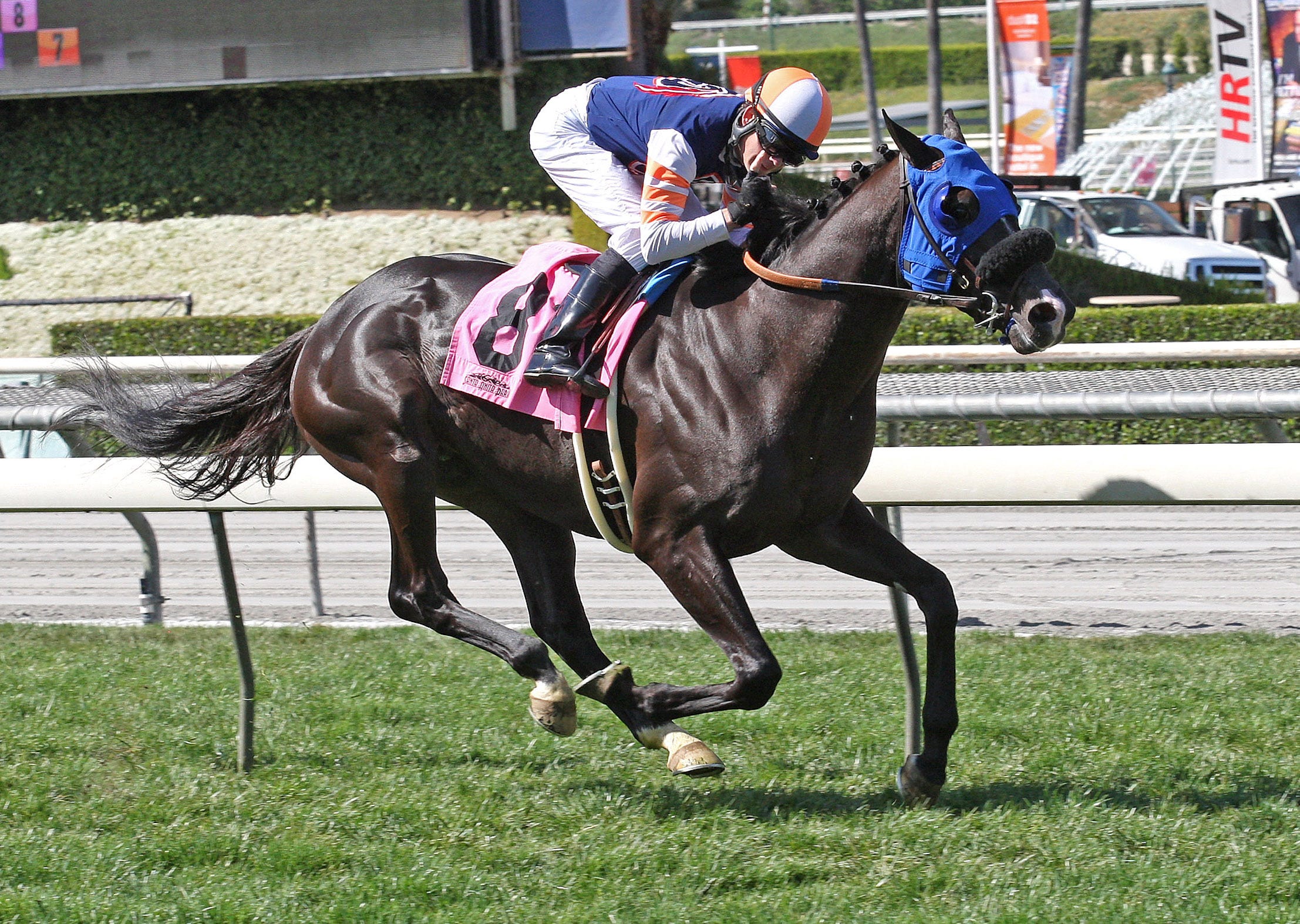 Midnight Storm will be hard to catch in Shoemaker Mile