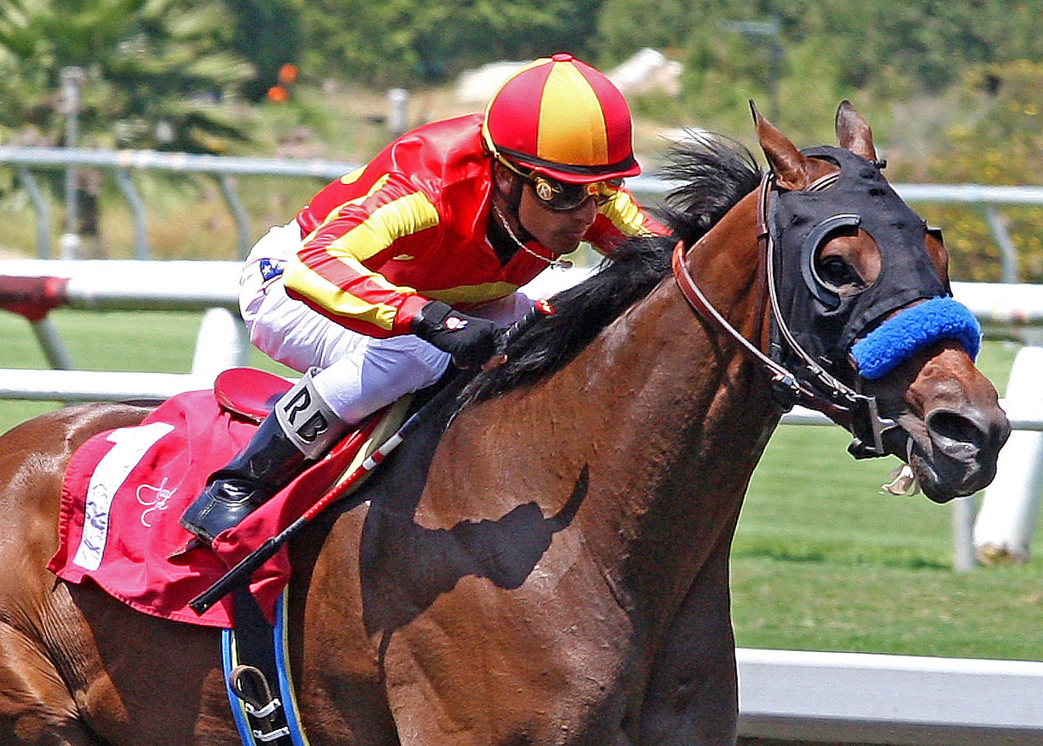 Fairplex: Mile High Magic the standout, but the price is short