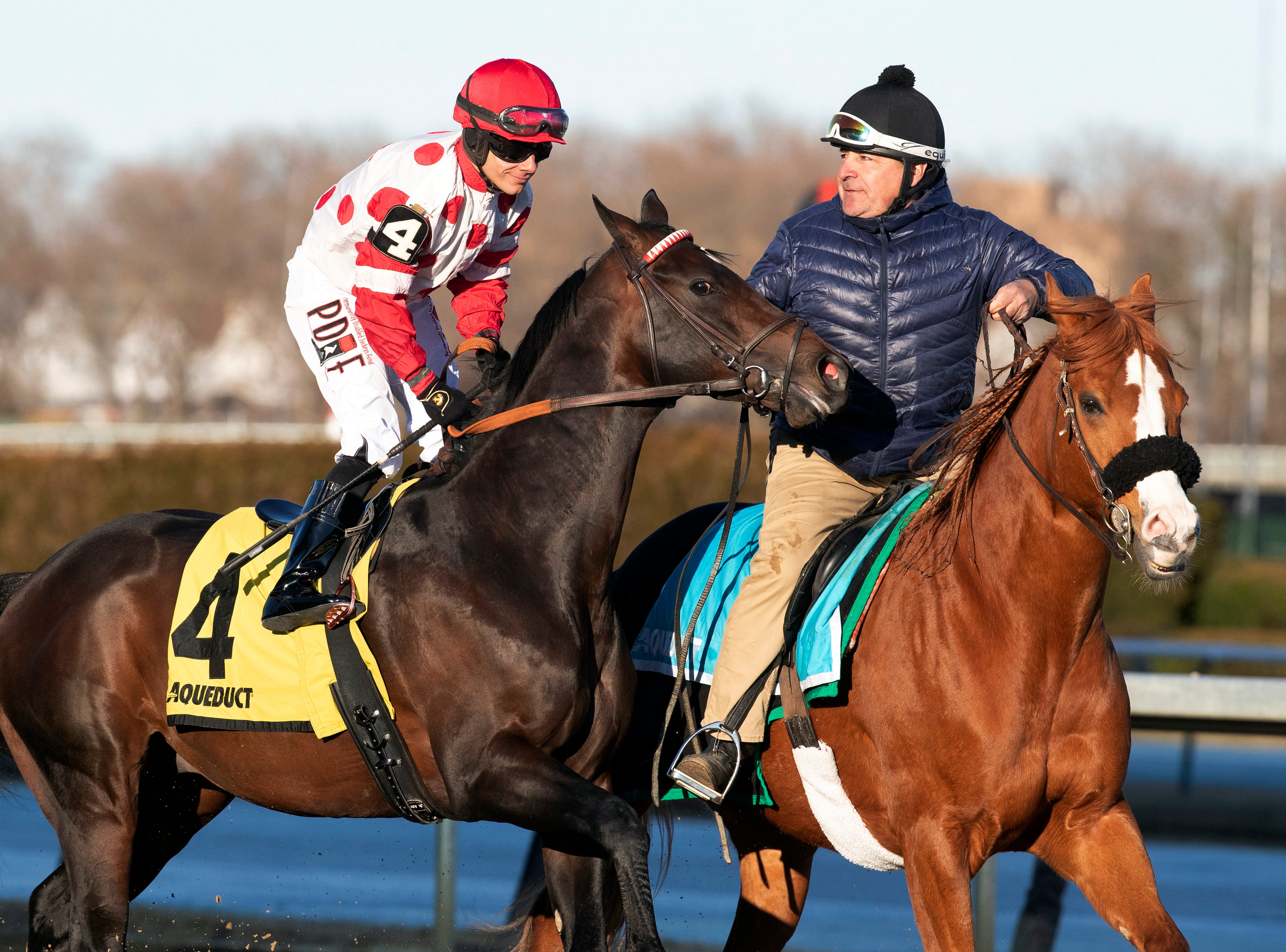 Tom Fool performance wows Mind Control's connections