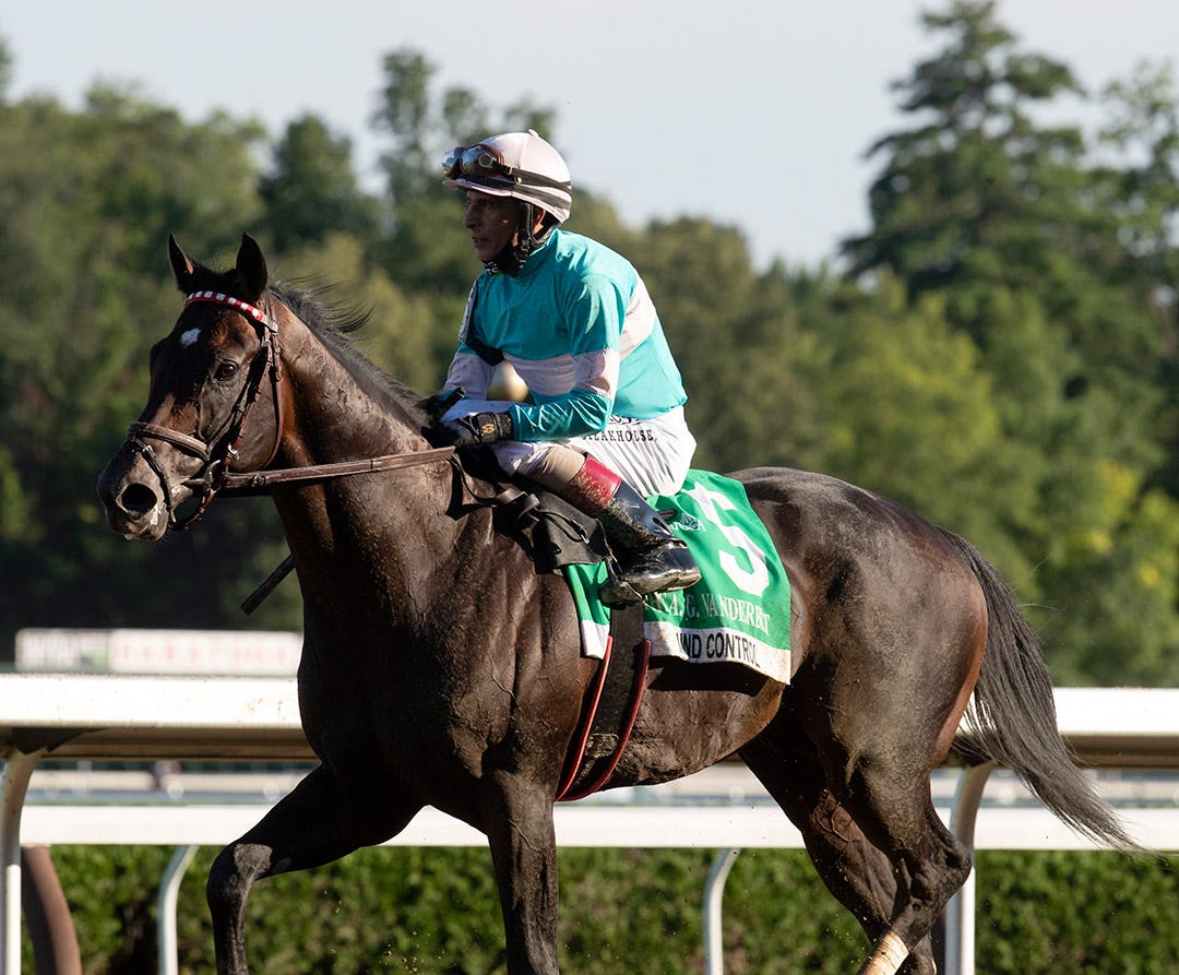 Mind Control training for Carter at Palm Meadows