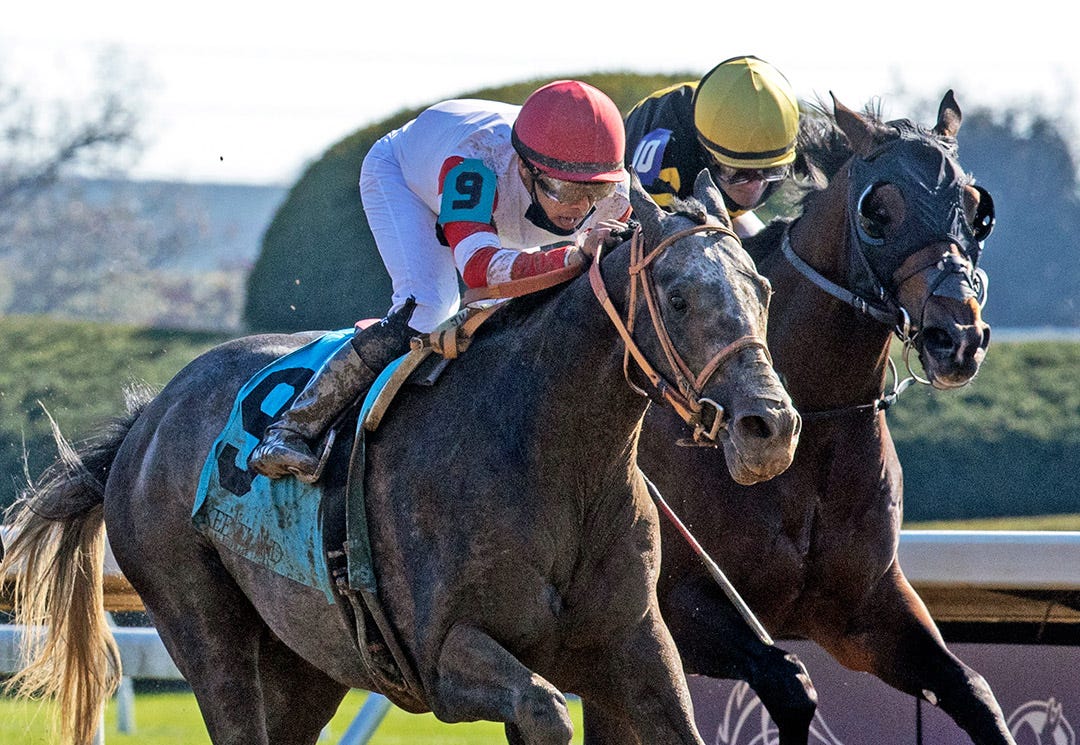 Long-winded Mirinaque shortens up in Queens County, debuts for Ward