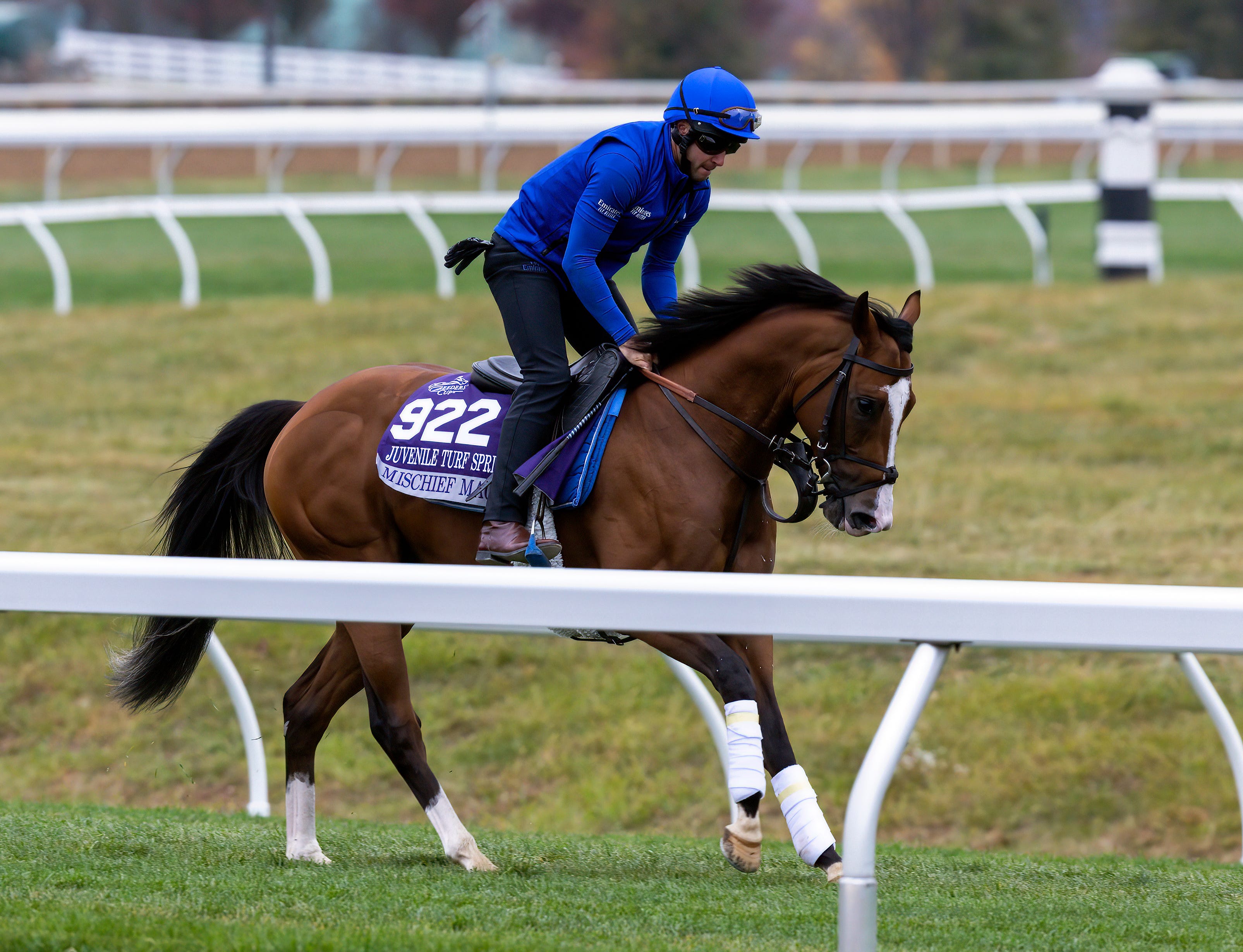 Breeders' Cup Friday: European shippers favored in all three turf races