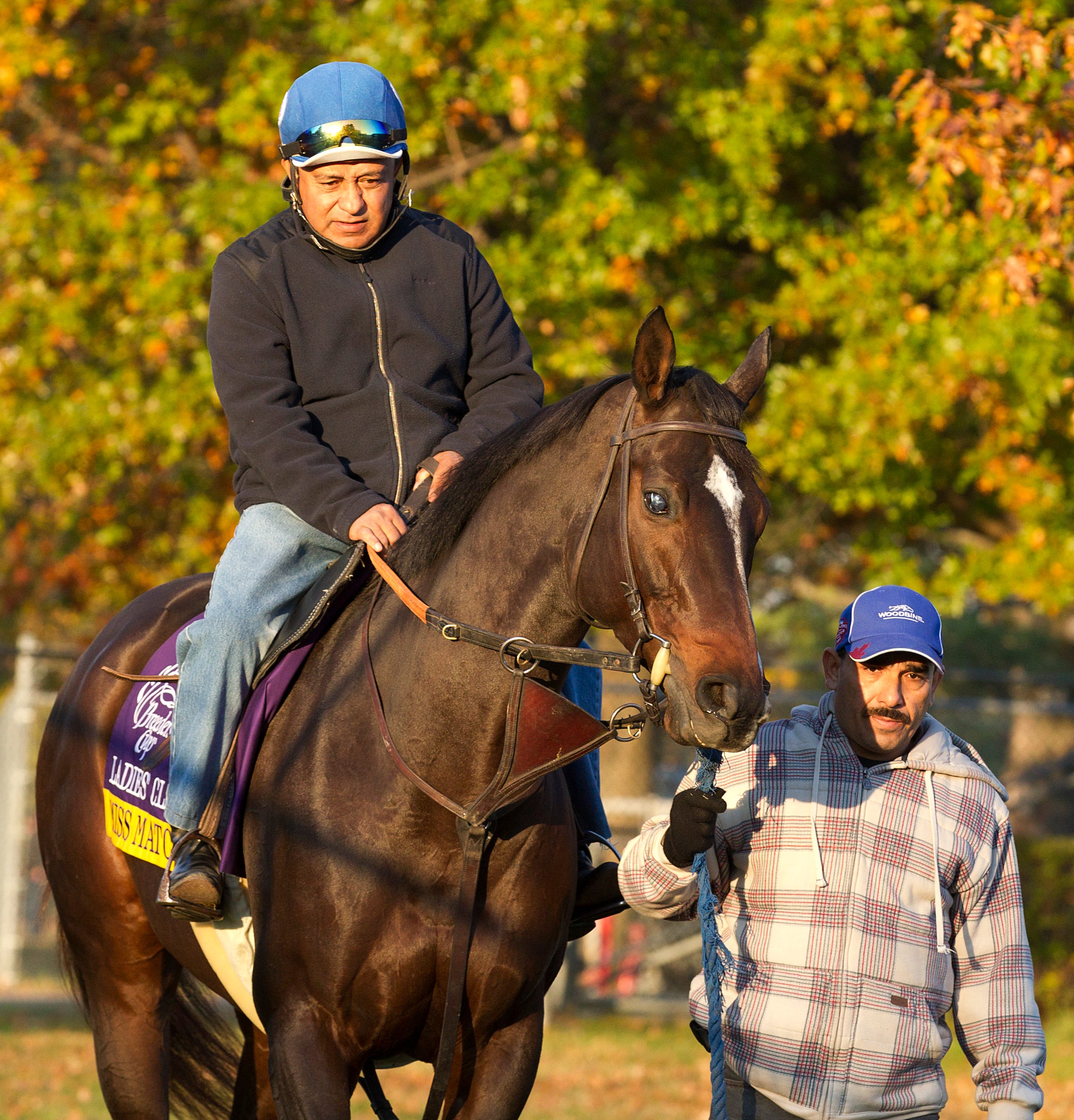 Hollywood Park: Miss Match back quick for Hollywood Turf Cup