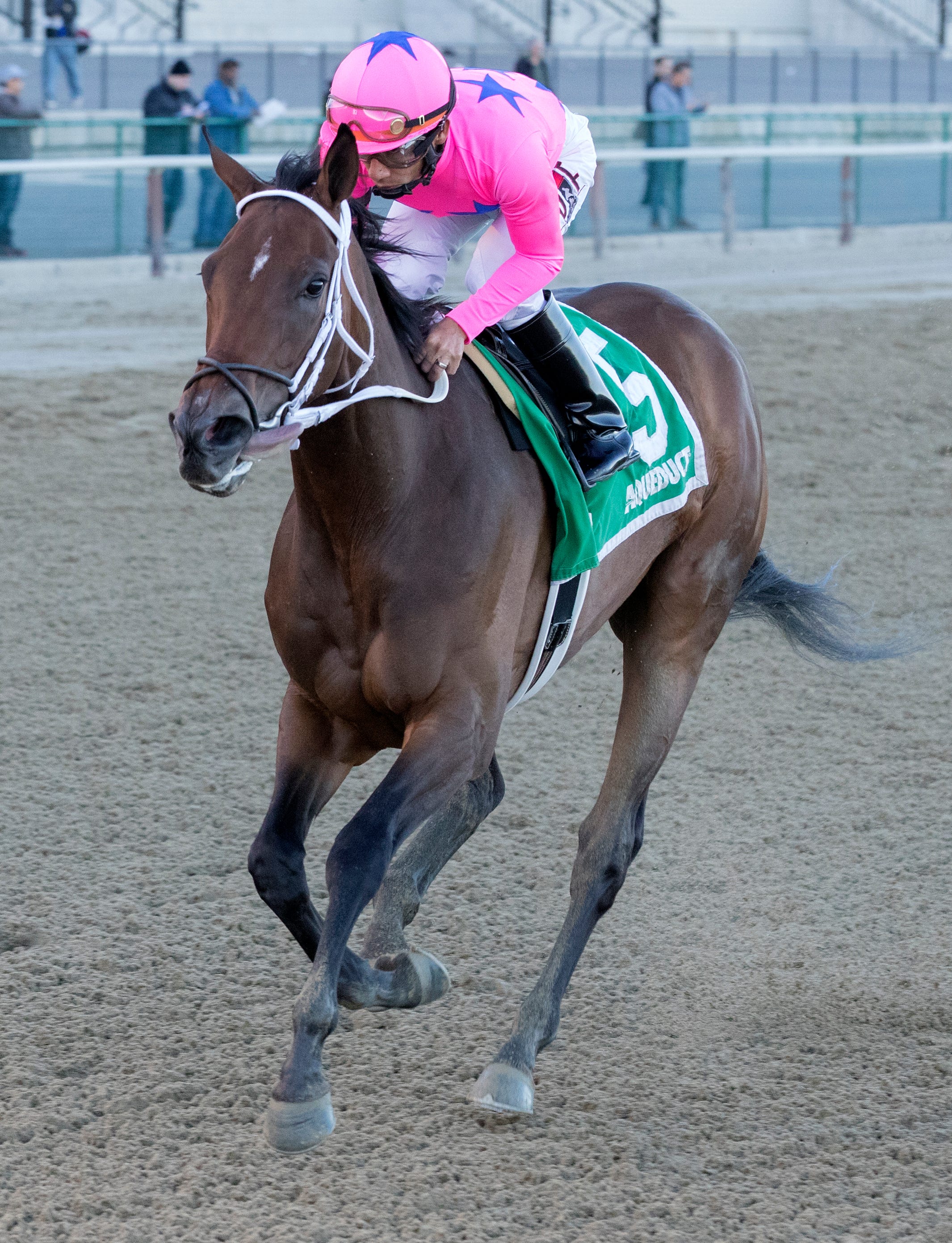 Miss Sky Warrior ships this week to prep for Kentucky Oaks