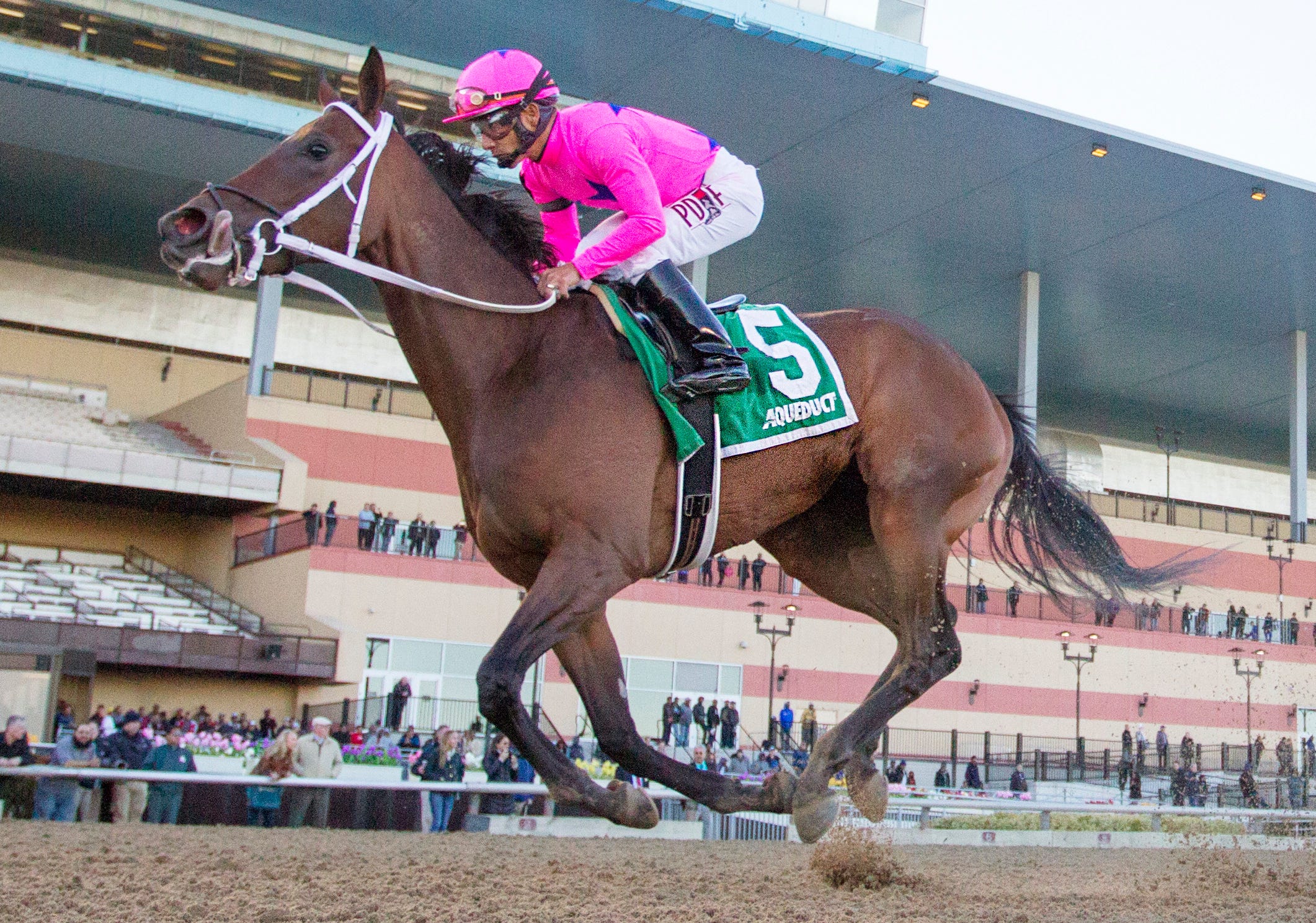Miss Sky Warrior heads field of nine in Friday's Comely