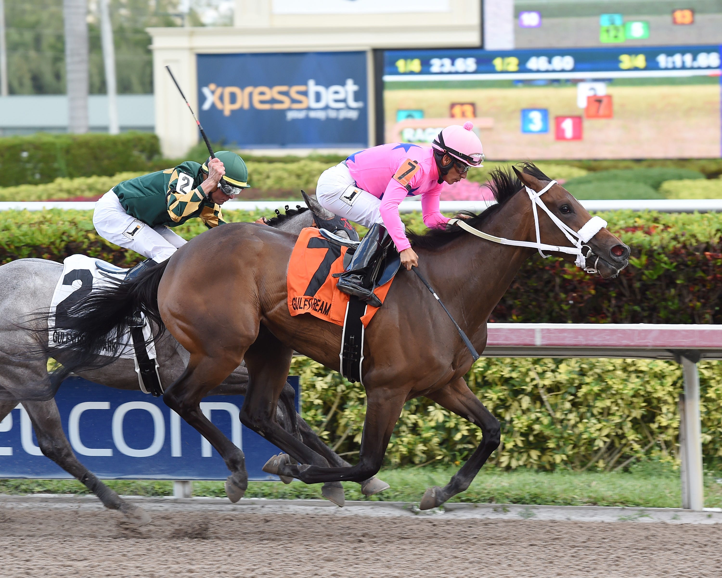 Miss Sky Warrior headed for Gazelle
