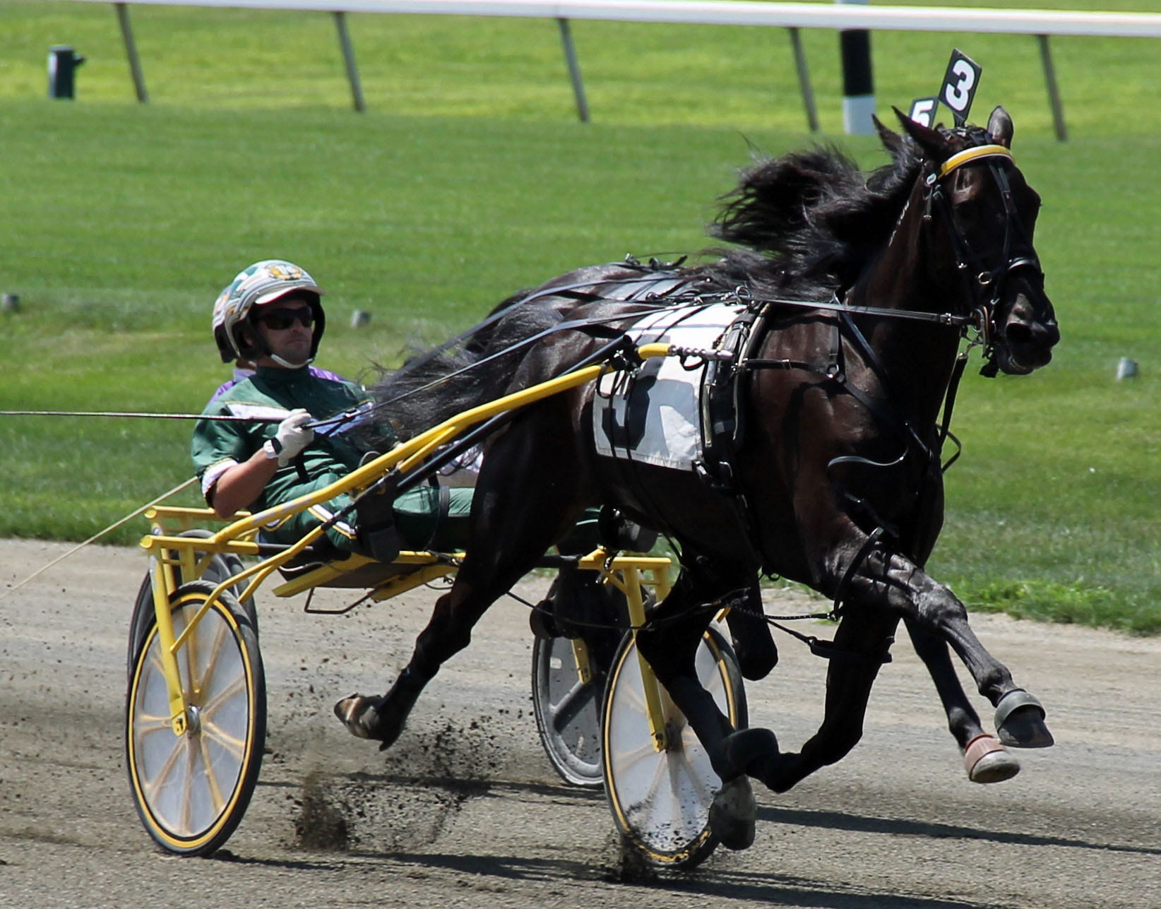 Harness: In the Standardbred game, there are no comparisons