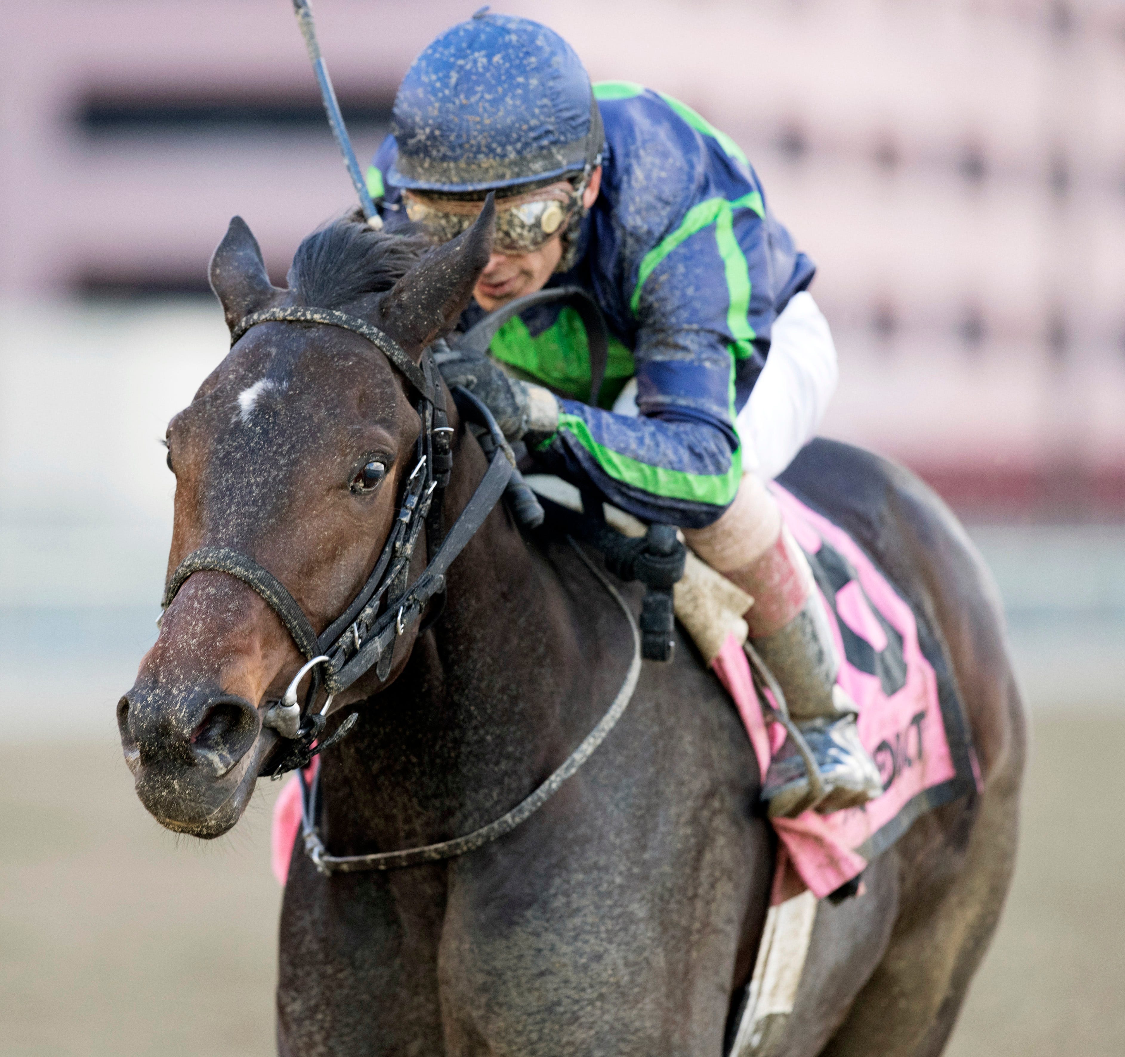 Mo Town still on course for Gotham