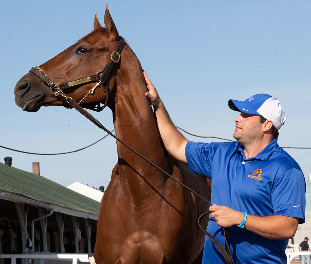 Monomoy Girl ya está de regreso en el establo de Brad Cox