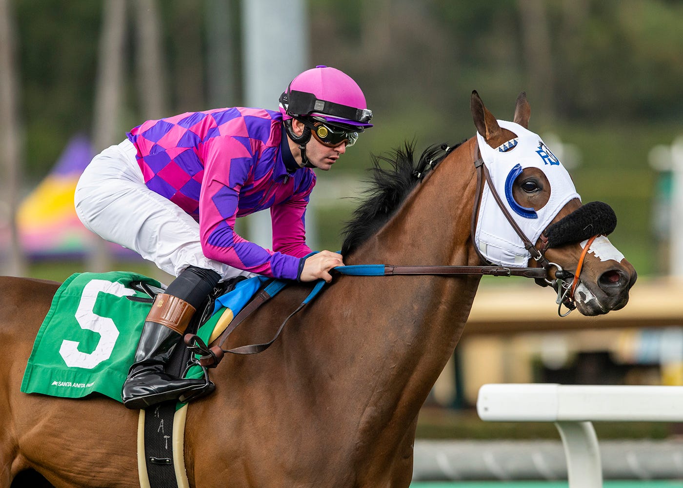 Motorious turns on speed en route to San Simeon victory