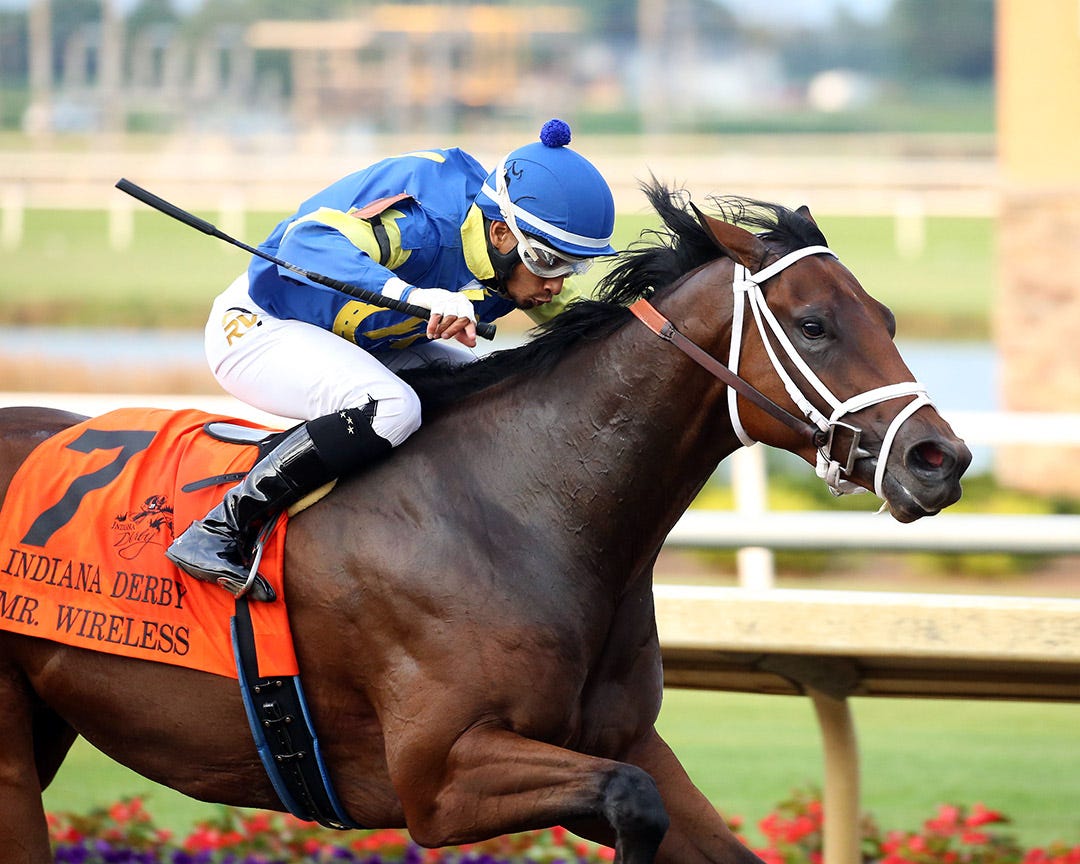 Mr. Wireless done for year, will return as 4-year-old