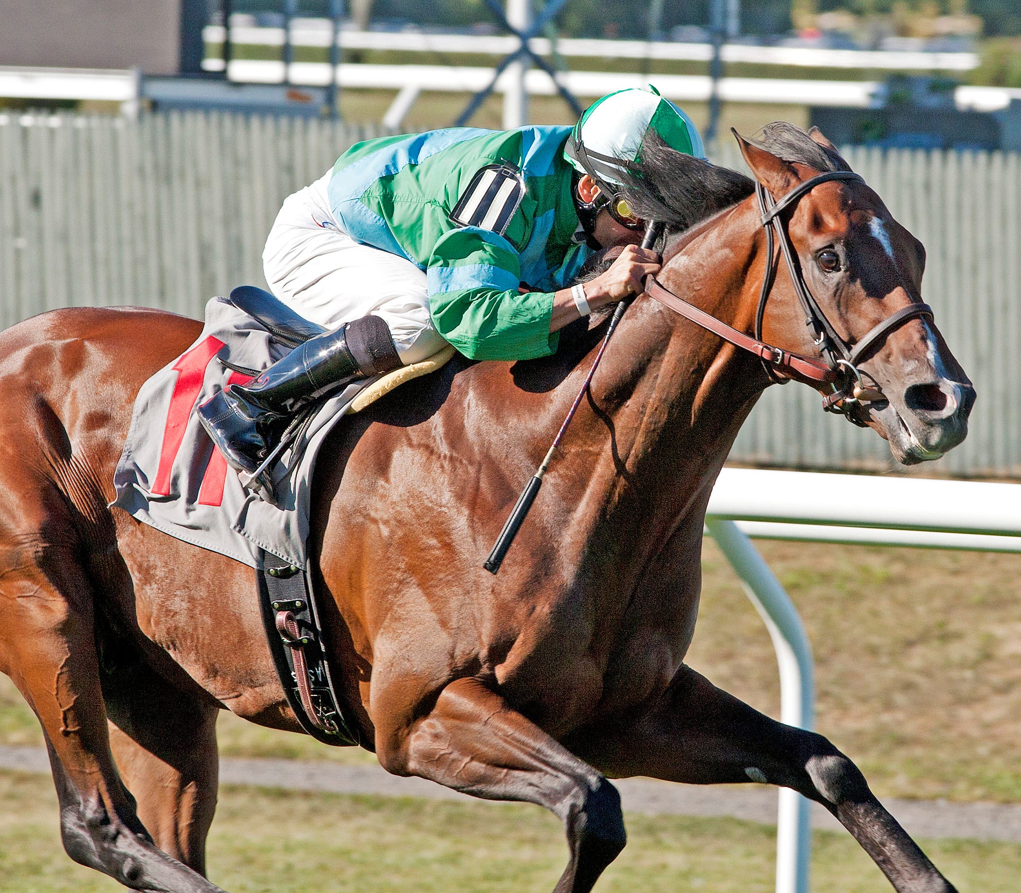 Mr. Jenney should be fit for allowance feature