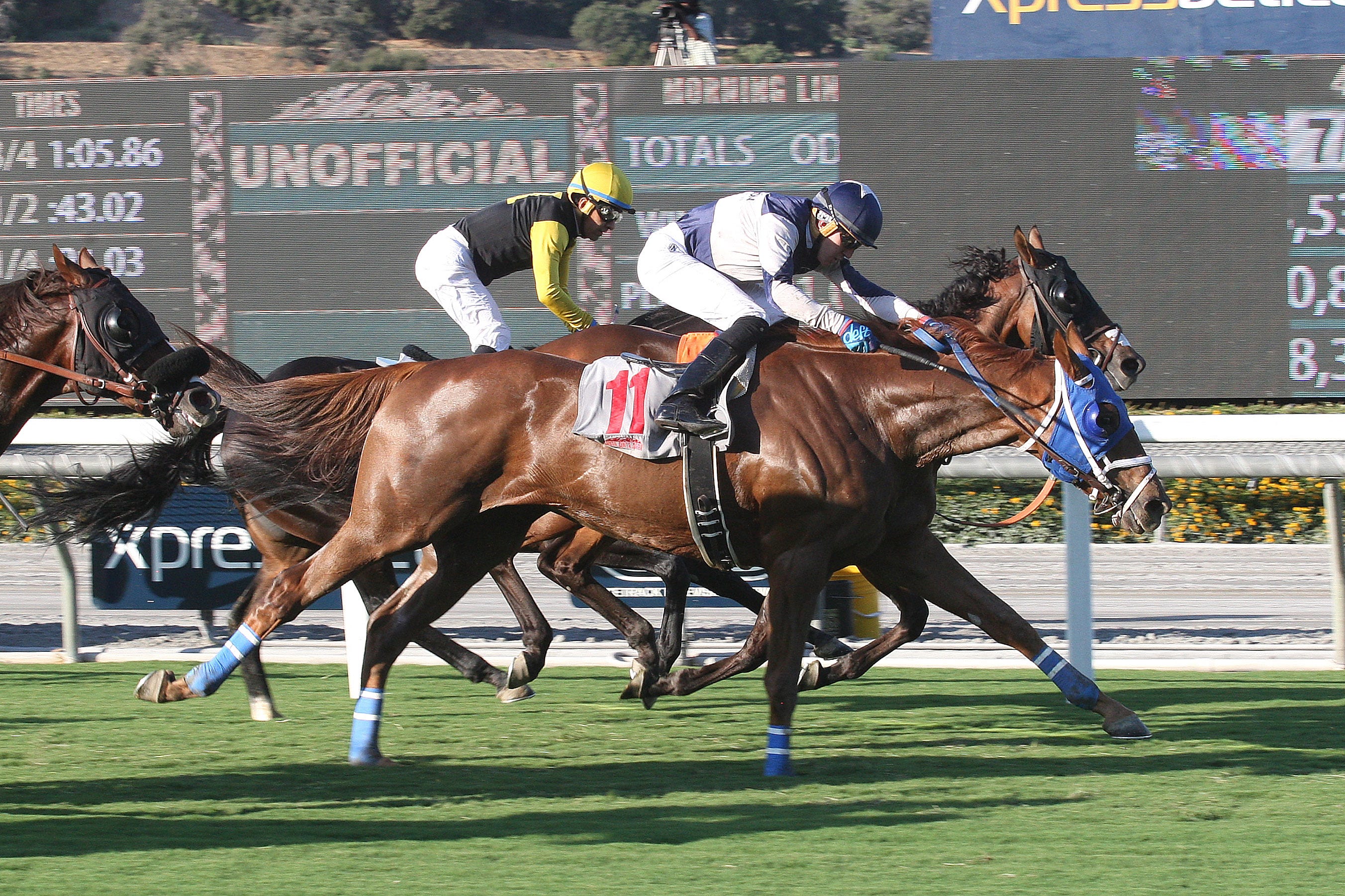 First graded win for jockey Tyler Conner as Mr. Roary upsets Eddie D