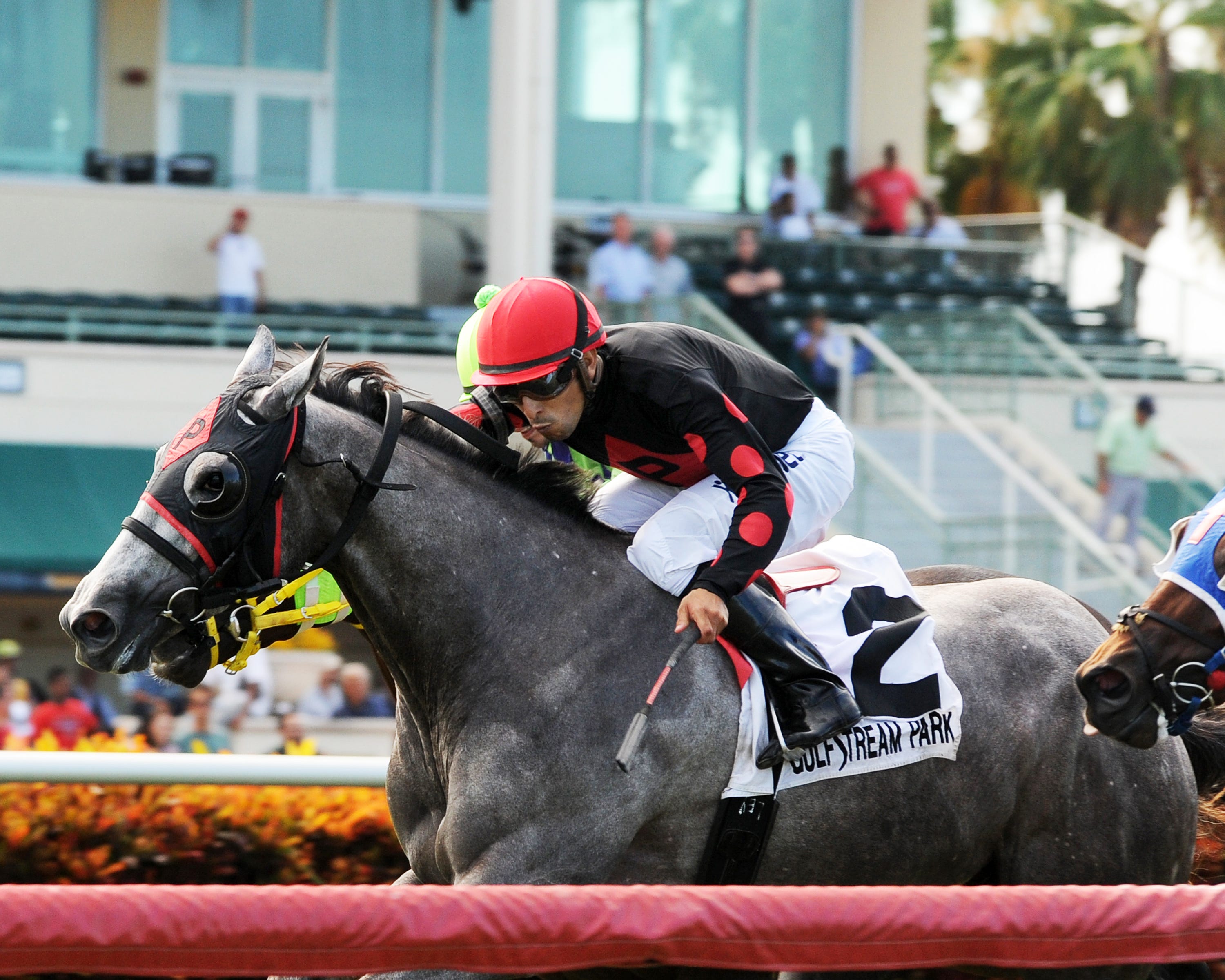 My Point Exactly back on best surface for Bear’s Den