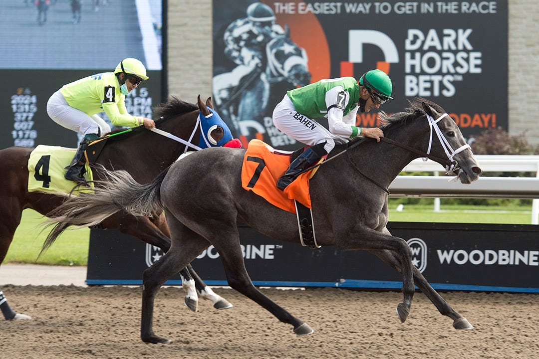 DRF's Horse Racing Playbook for Friday, June 3, 2022