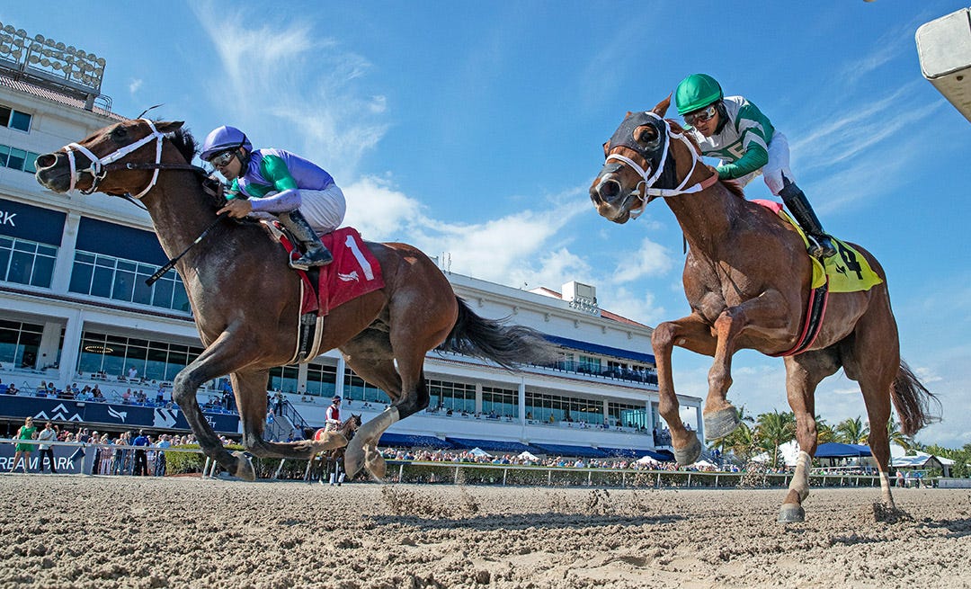 Anchorage, Maxfield draw short fields