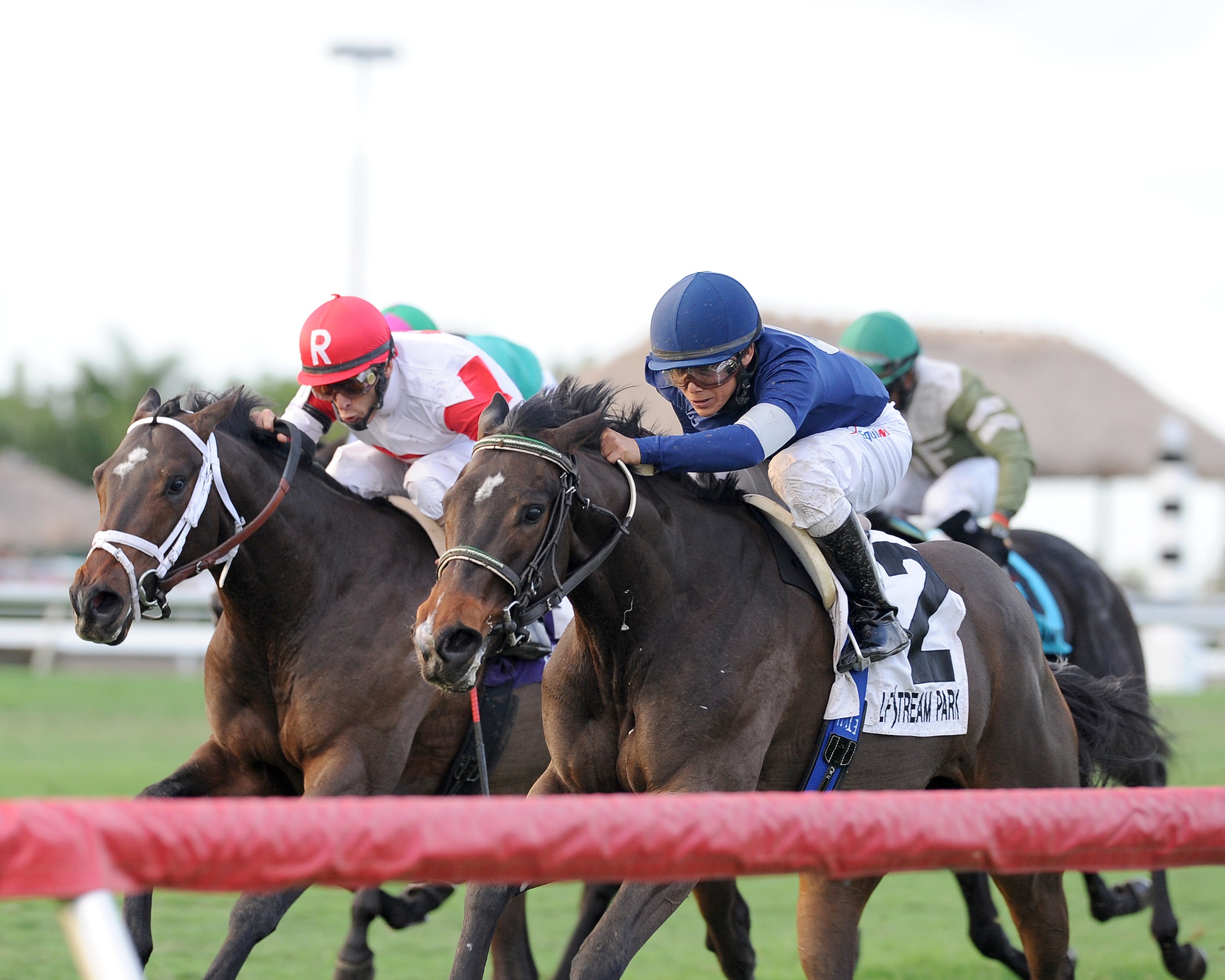 Gulfstream Park: Flying Bird looks to continue resurgence on turf in ...