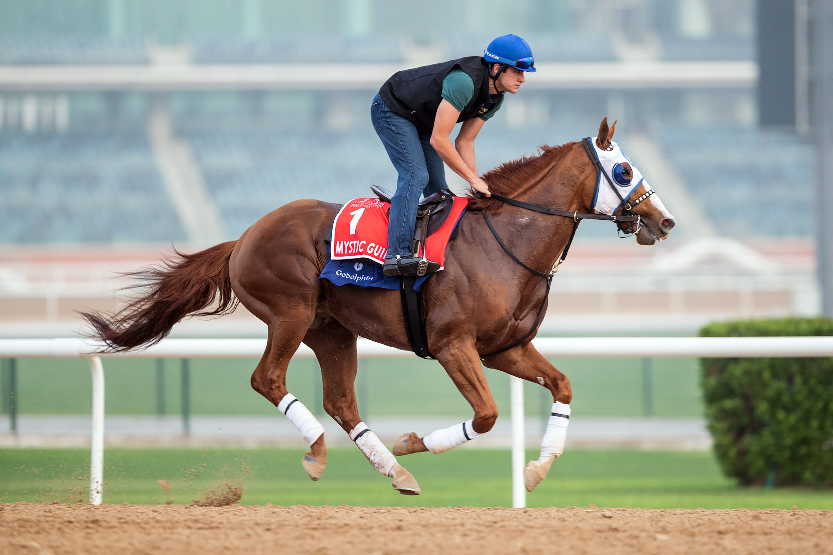 Mystic Guide at the top of his game for Dubai World Cup