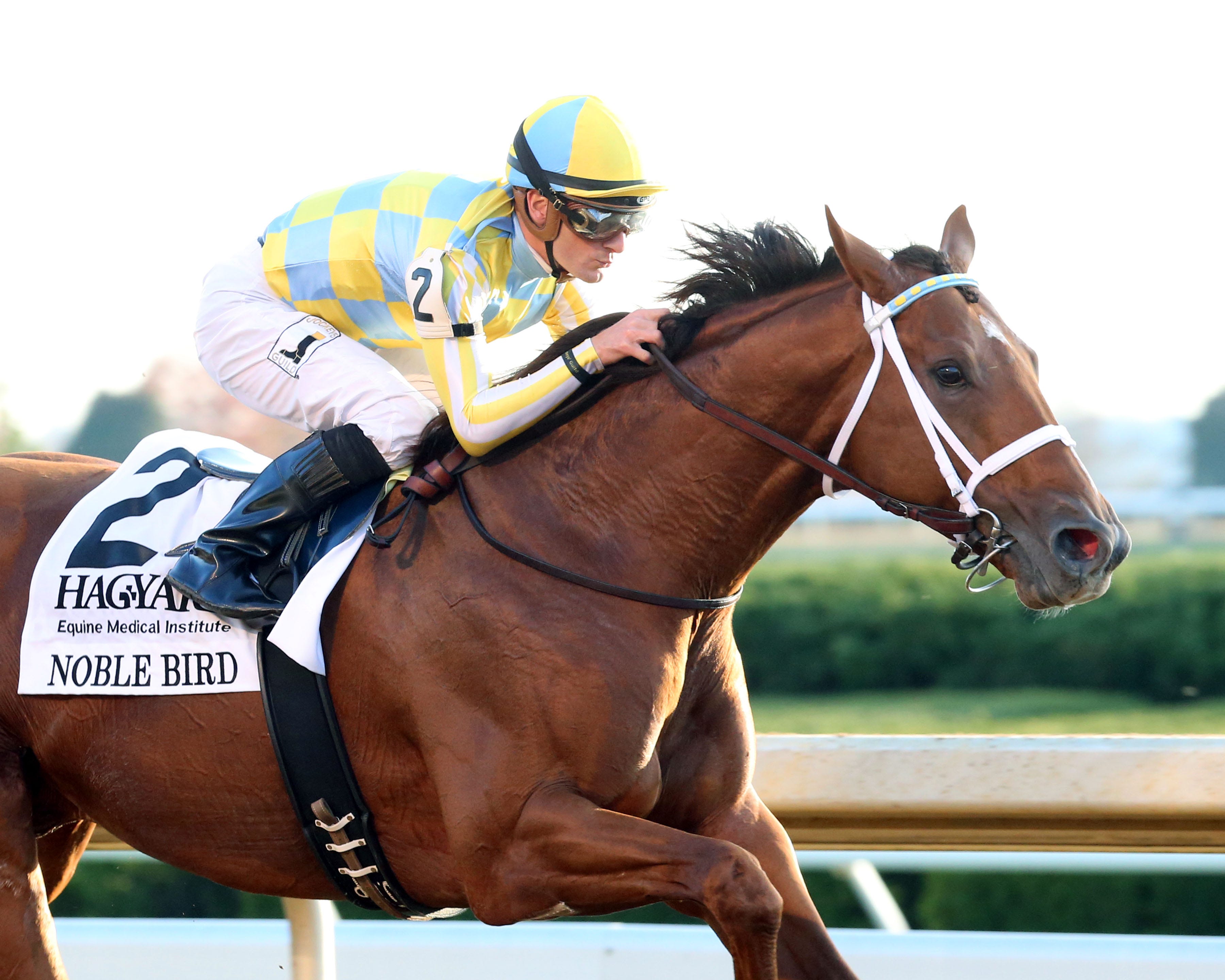 Noble Bird rolls to front-running Fayette victory