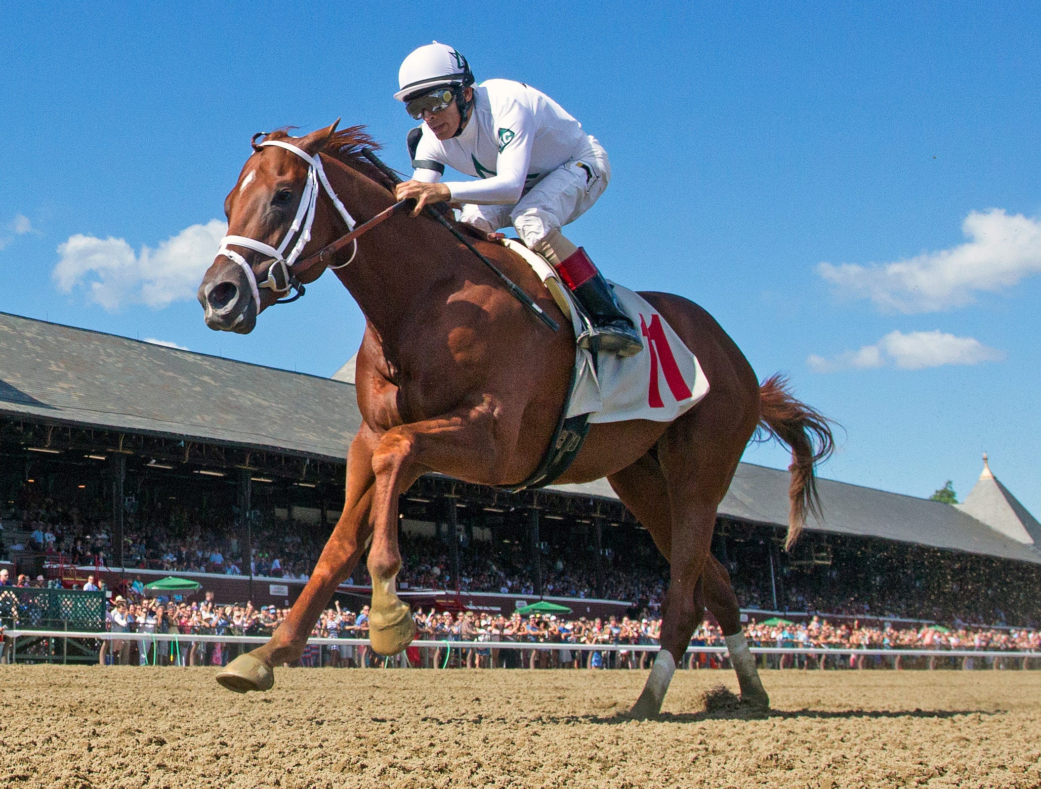 Ohio stallions: National Flag gets off to strong start