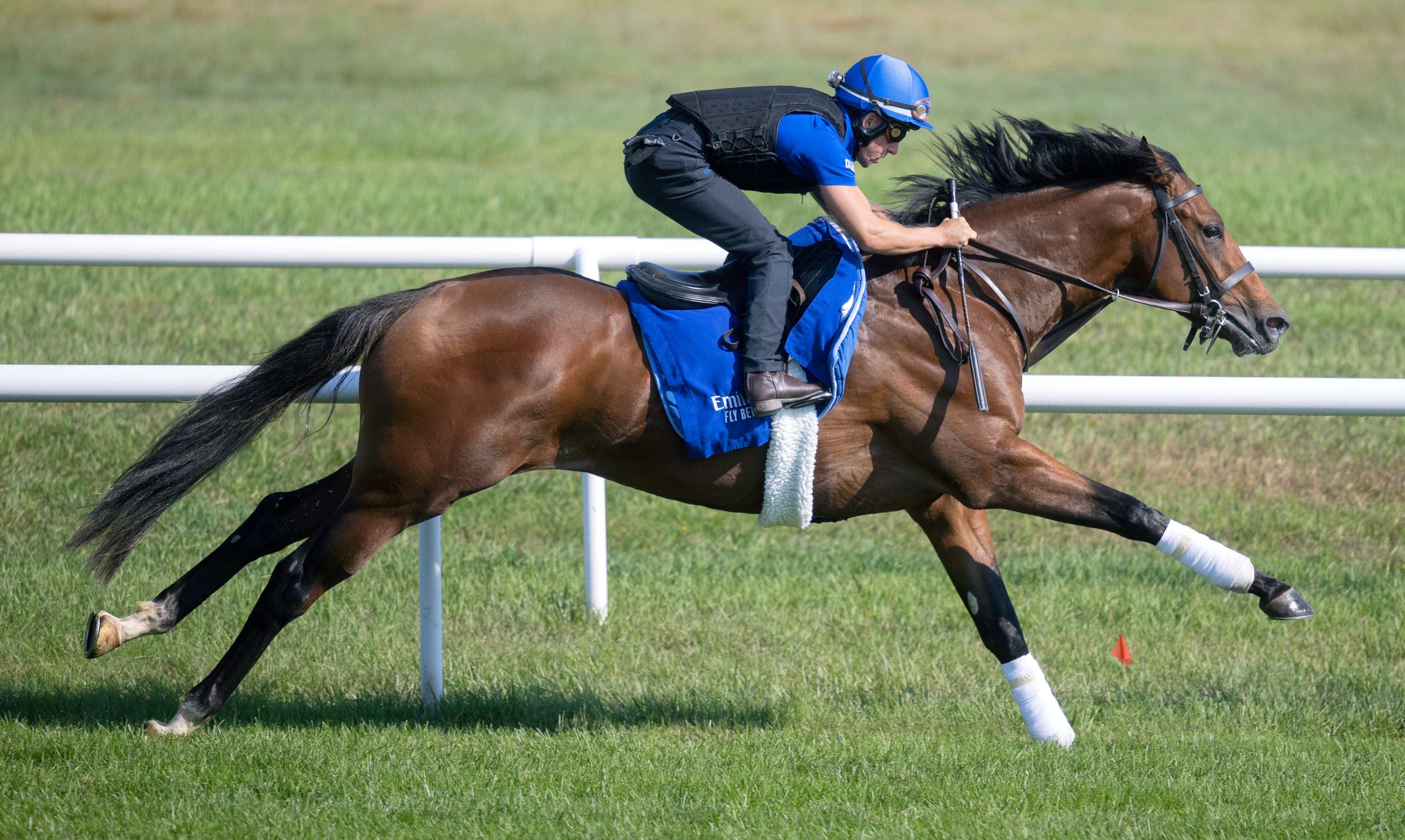 Nations Pride probably will call it a season after Jockey Club Derby