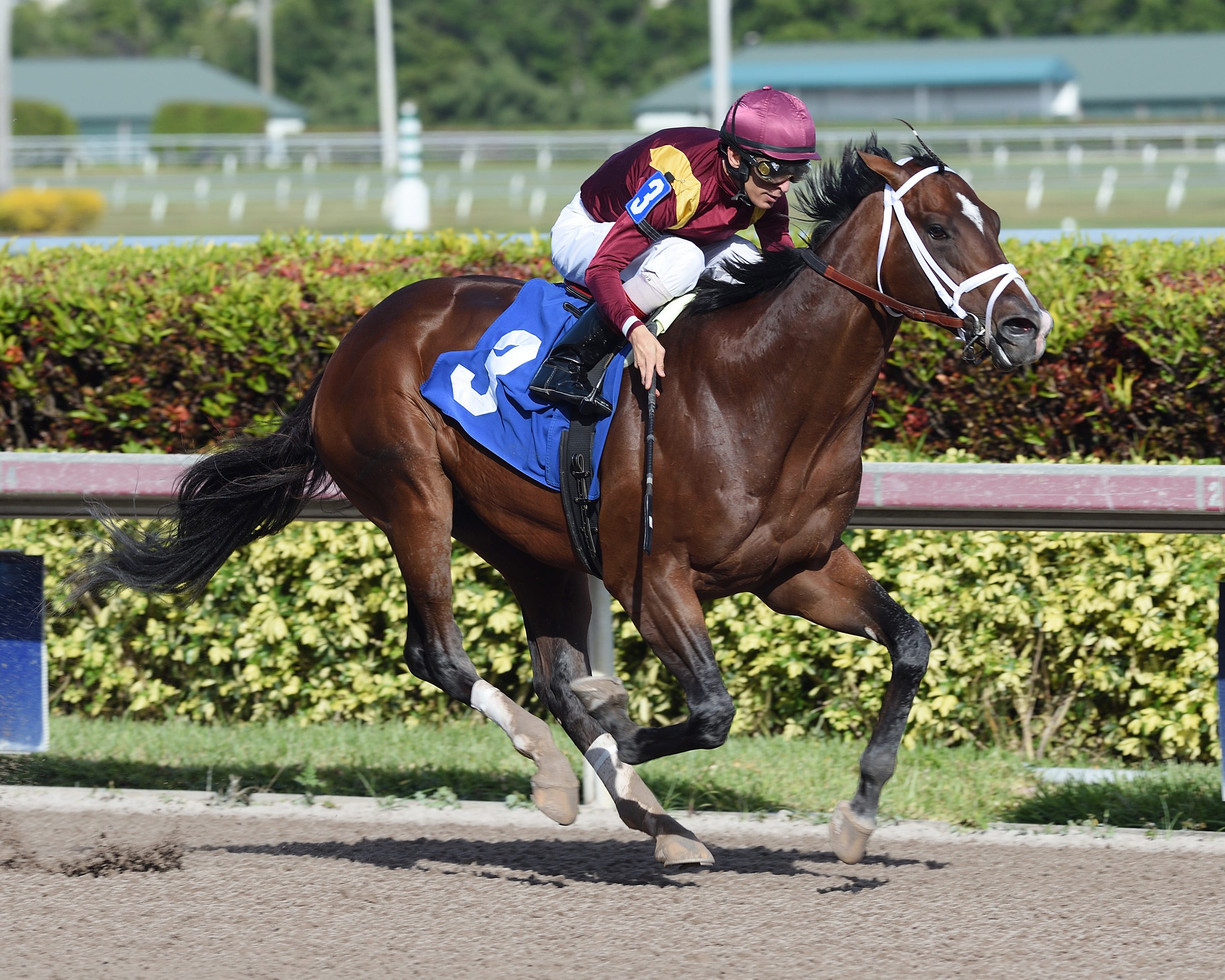 Allowance a key test for Navistar