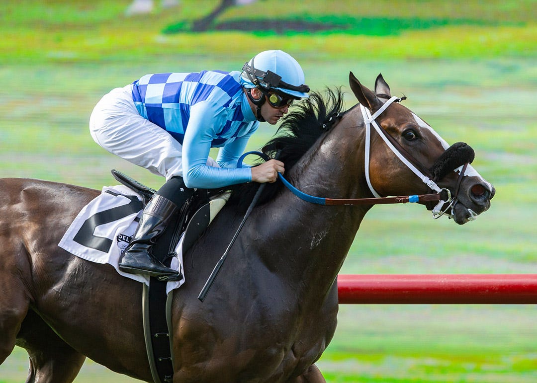 Lambeau a reluctant turf warrior in Lure