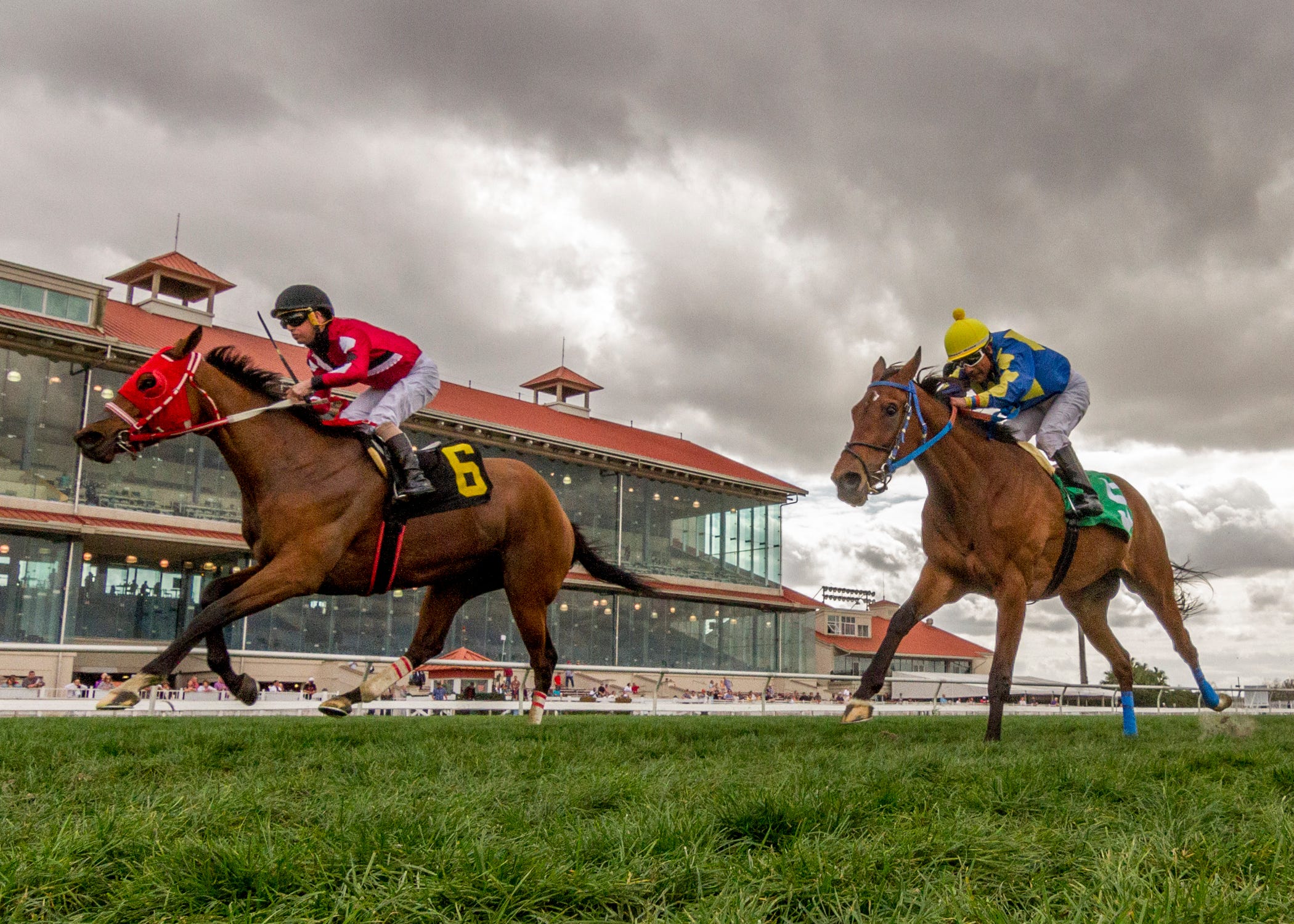 More robust turf racing, field sizes led to surge in betting at Fair ...
