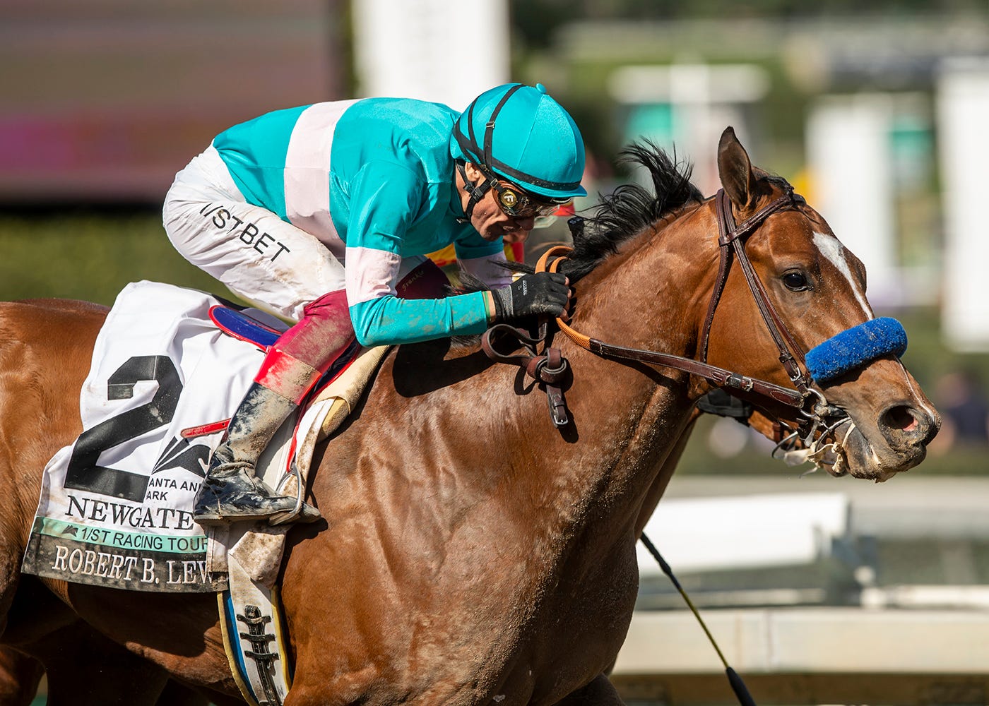 Road to the 2023 Kentucky Derby: Robert Lewis Stakes analysis