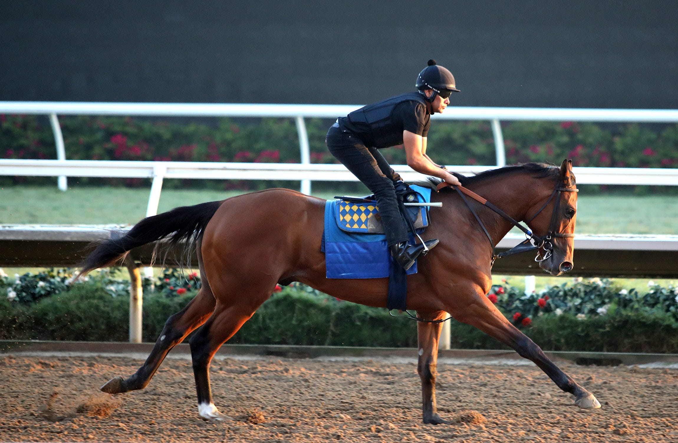 All four entrants in Robert Lewis Stakes from Baffert barn