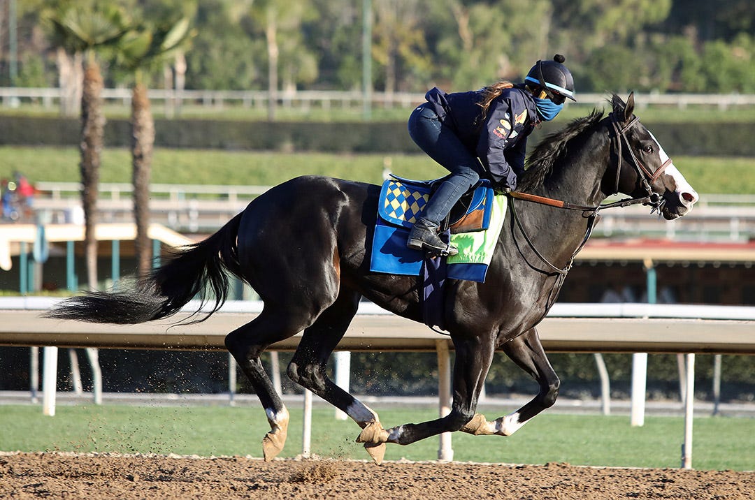 Newgrange's allowance romp means likely start in Native Diver