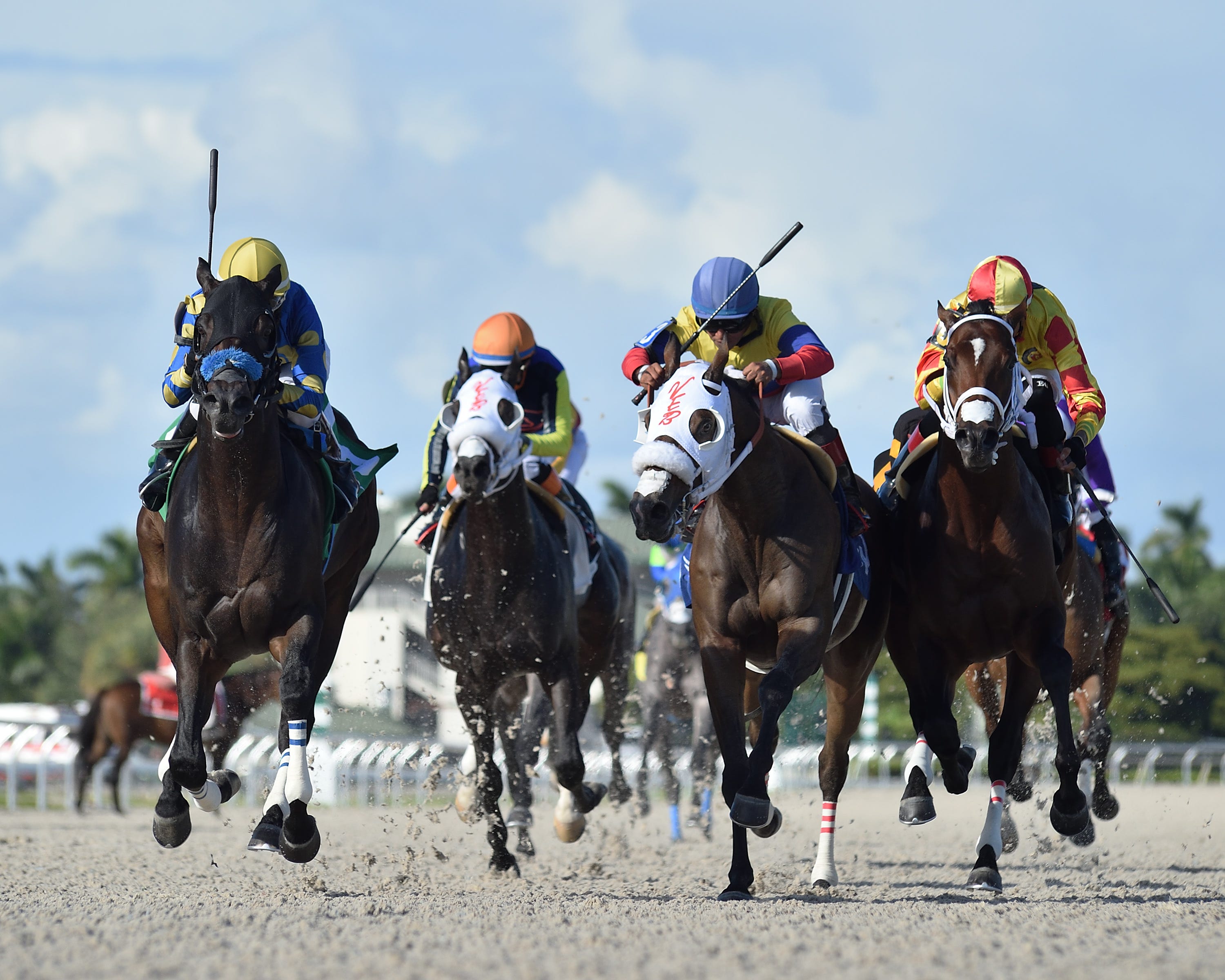 DRF's Horse Racing Playbook for Wednesday, December 28, 2022