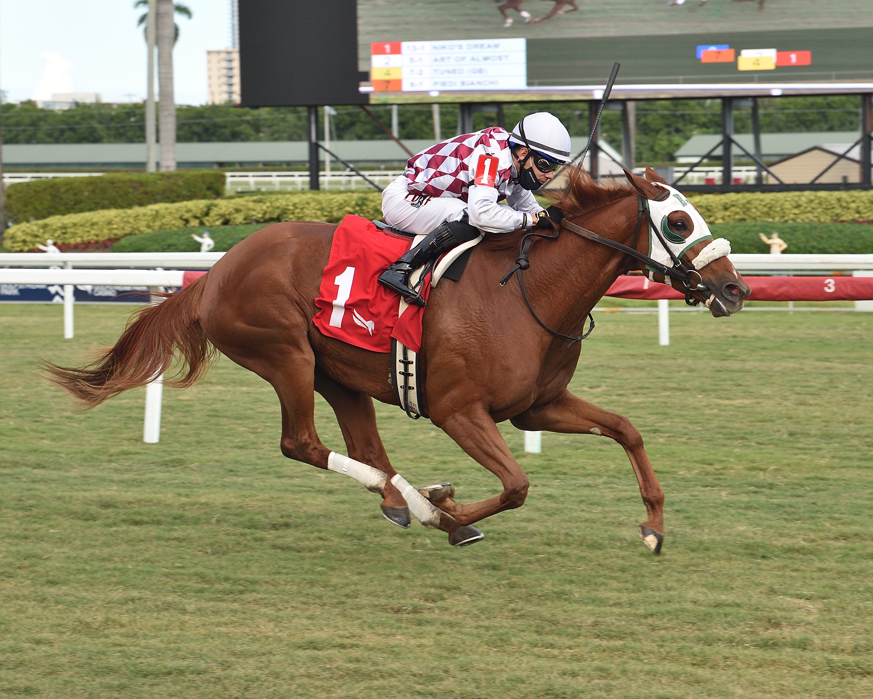 Niko's Dream sorprendió en el My Charmer Stakes